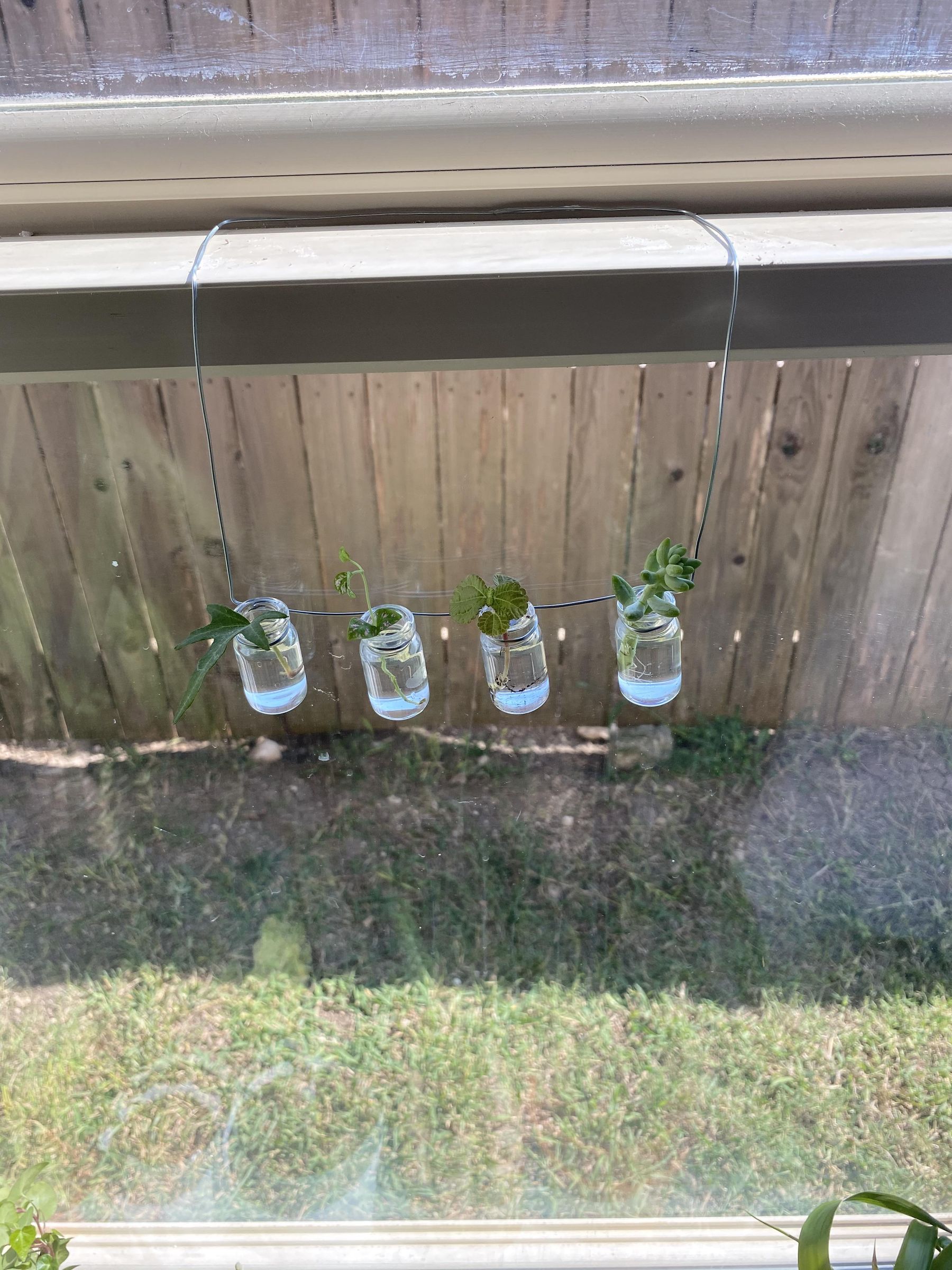 Window Propagation Station : 8 Steps (with Pictures) - Instructables