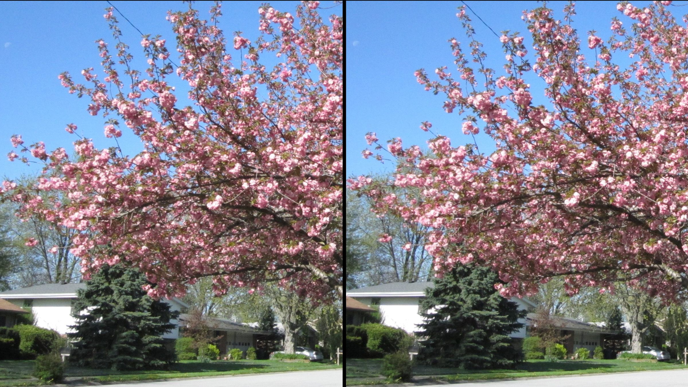 3D Stereoscopic Photography : 5 Steps (with Pictures) - Instructables