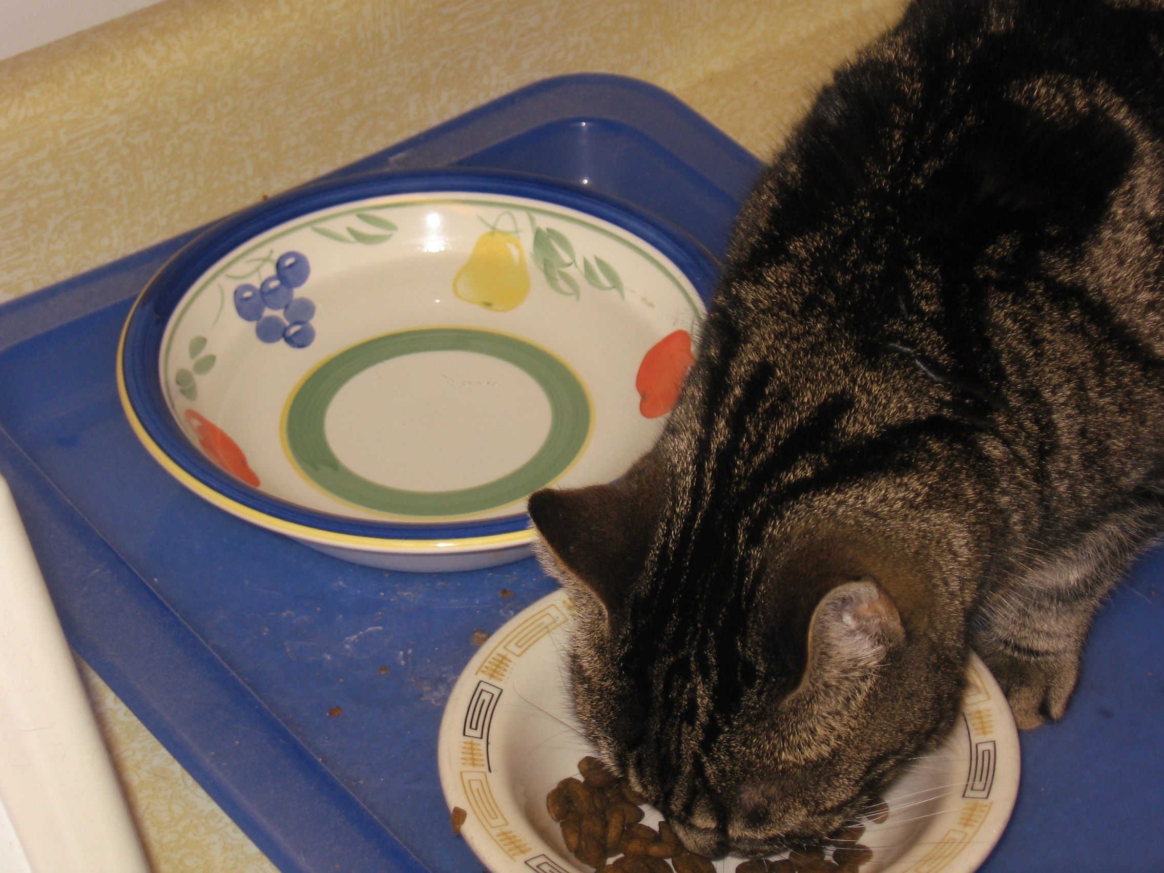 RadBear's Cost Cutting Tips : 6 Steps - Instructables