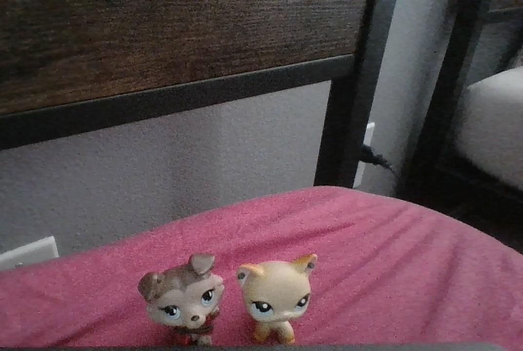 How to Make Lps Shirt or Costume : 3 Steps - Instructables