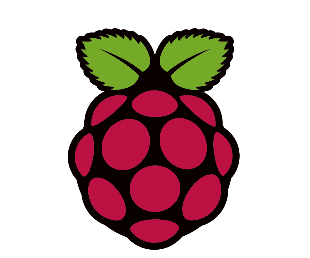 RASPBERRY PI Pi OBJECT DETECTION WITH MULTIPLE CAMERA'S : 3 Steps ...