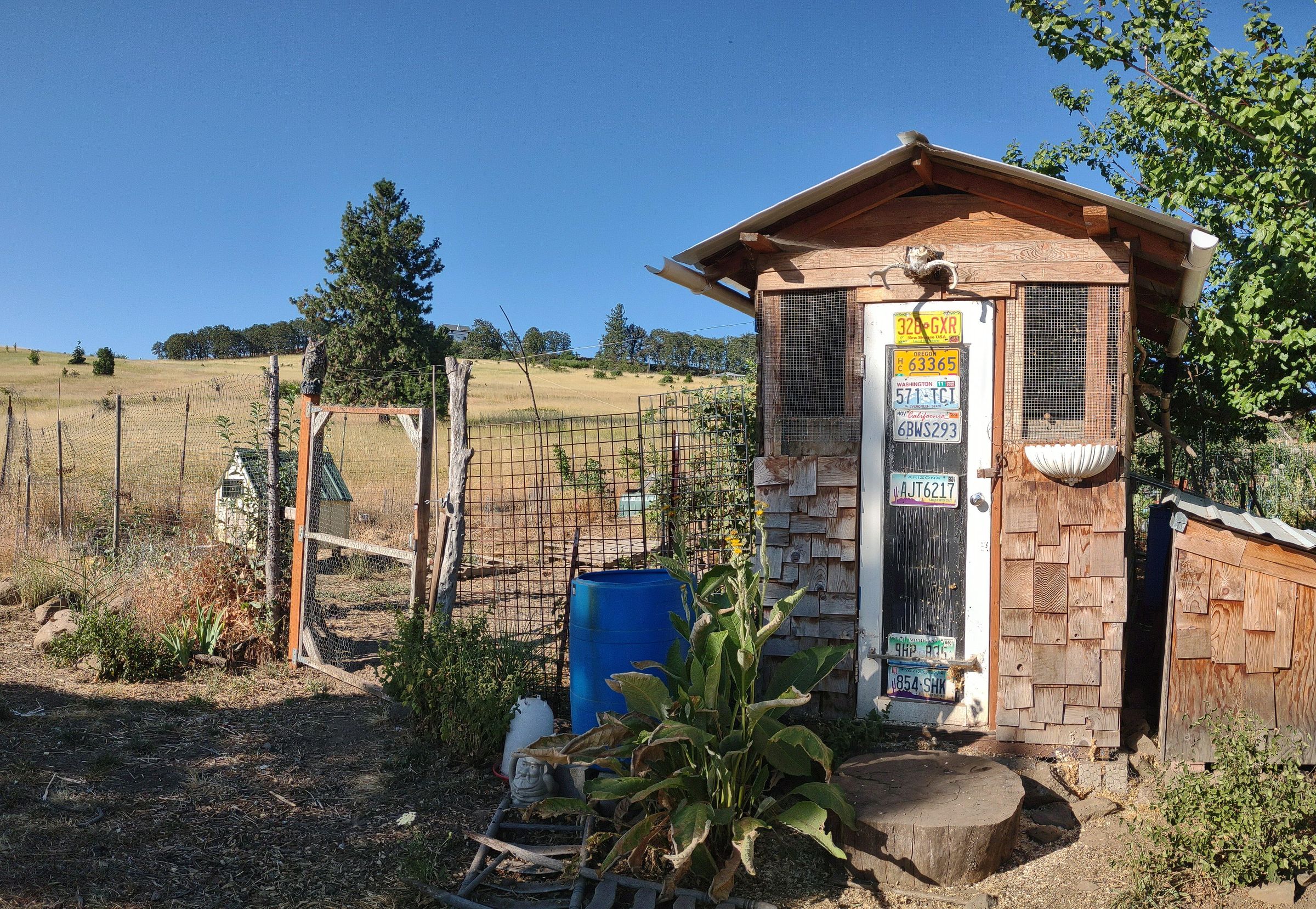 Chicken Coop Rainwater Catchment Egg Suppliers 6 Steps Instructables