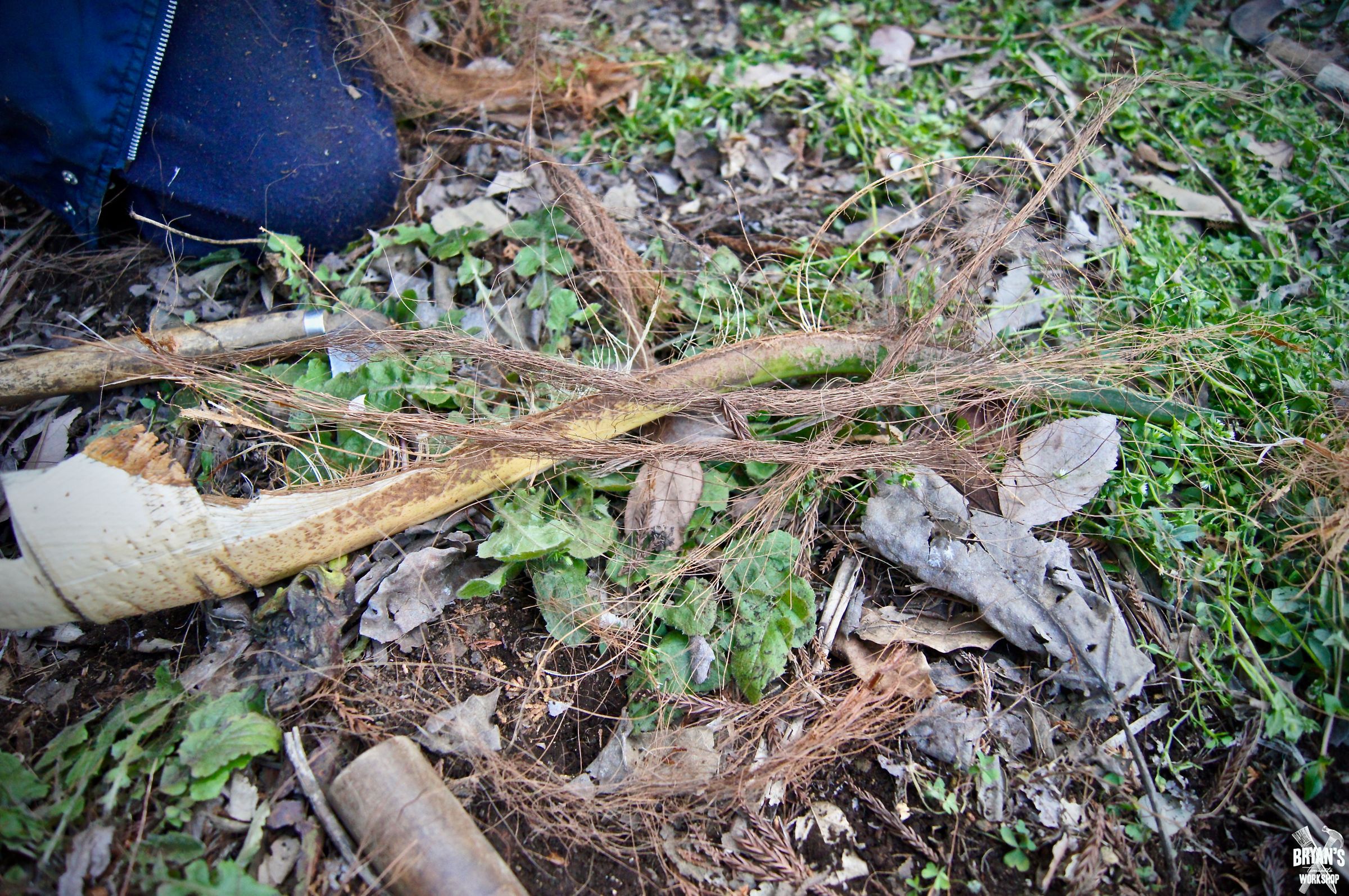How to Make Rope Using Windmill Palm Tree Fiber! : 6 Steps (with ...