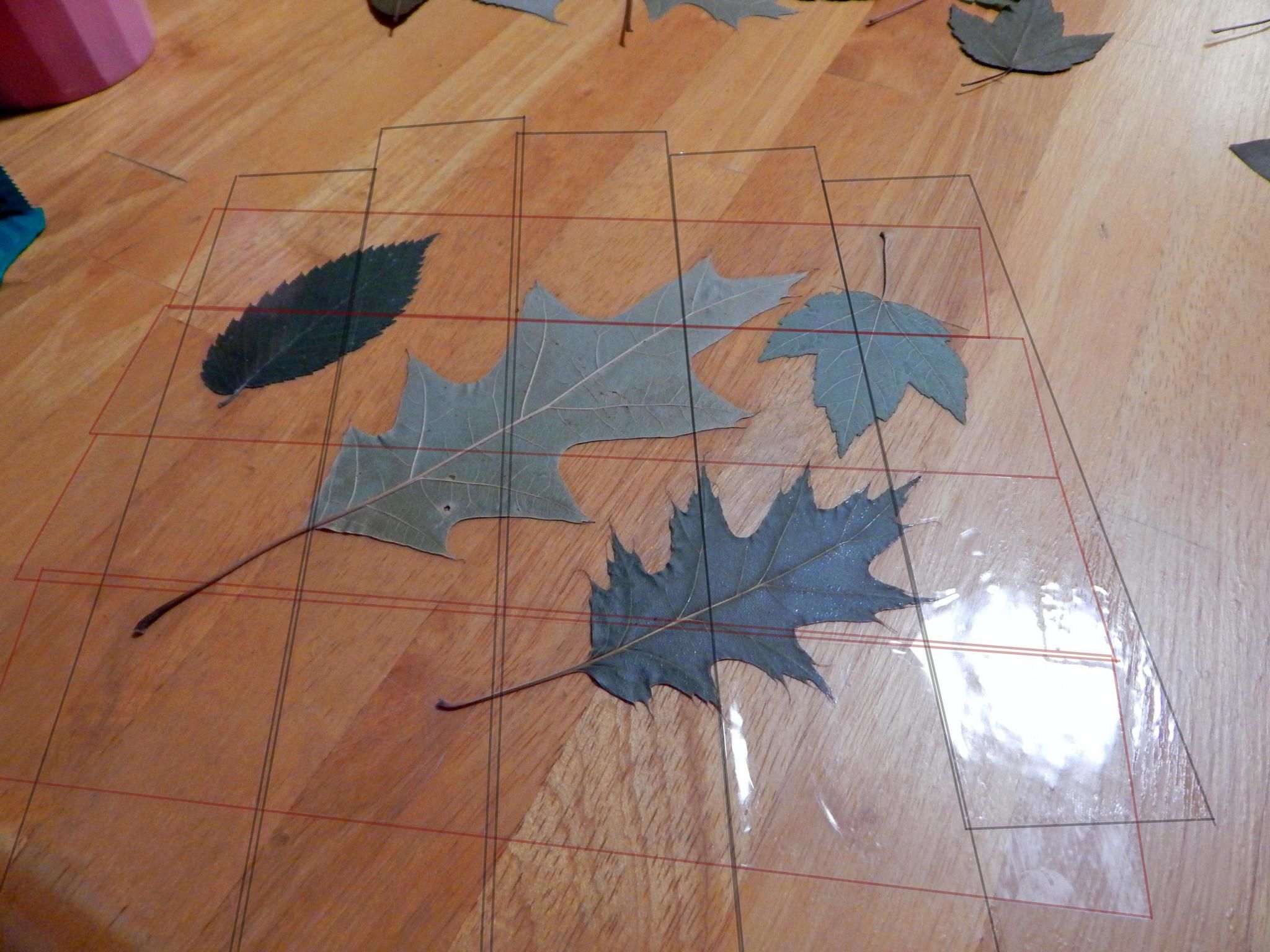 DIY Laminated Leaf Bookmarks : 4 Steps (with Pictures) - Instructables