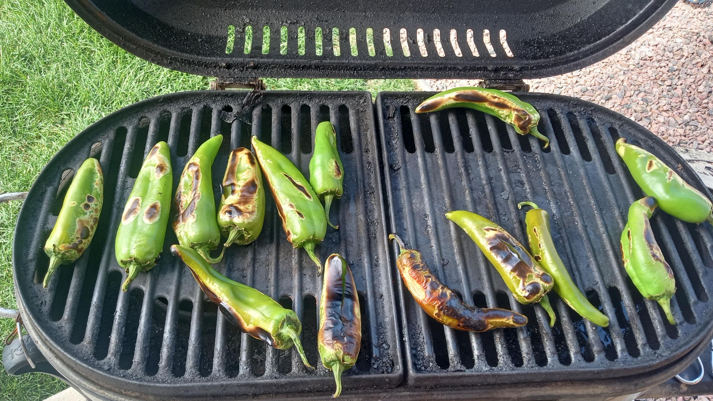 Roasting Green Chiles on Your Grill : 3 Steps - Instructables