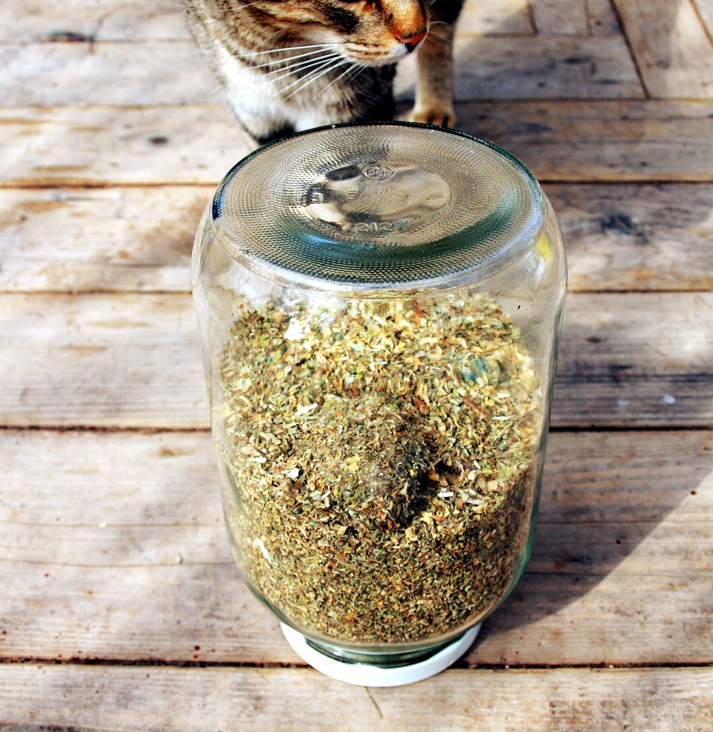 How to Renew Catnip Toys : 3 Steps (with Pictures) - Instructables