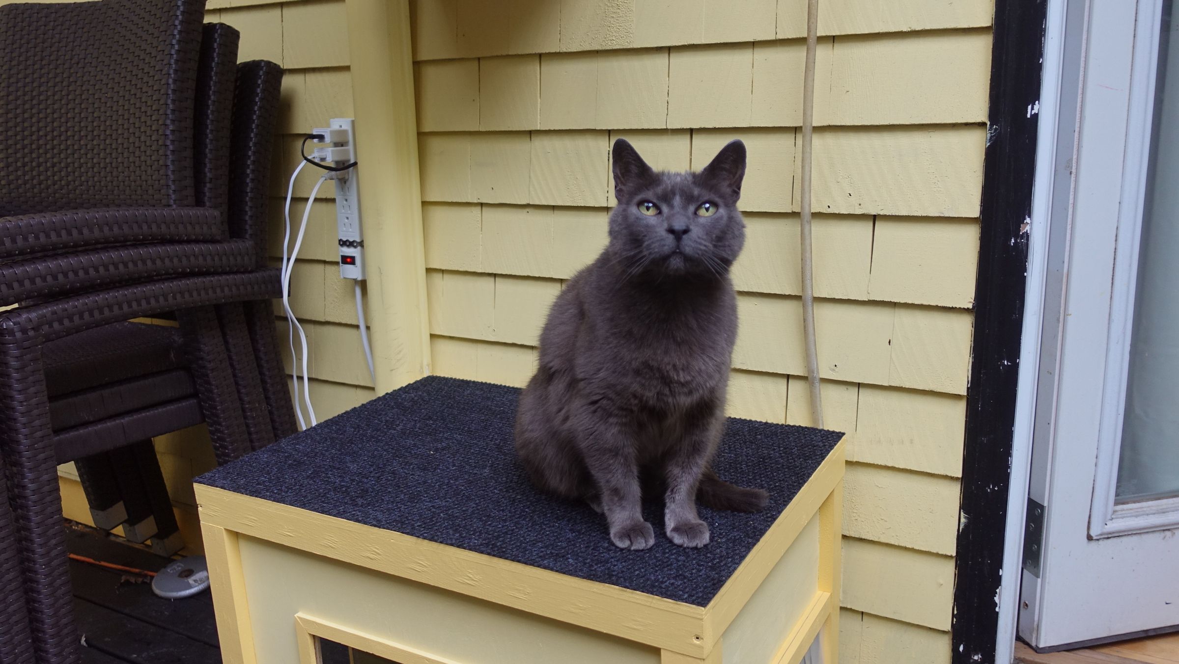 Heated Winter Cat Shelter and Seat : 6 Steps - Instructables