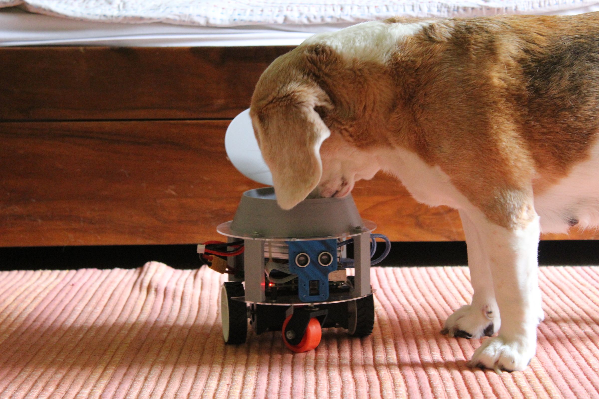 Arduino and Raspberry Pi Powered Pet Monitoring System : 19 Steps (with ...