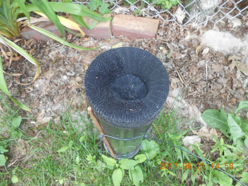 Mosquito Killing Ovitrap : 11 Steps (with Pictures) - Instructables