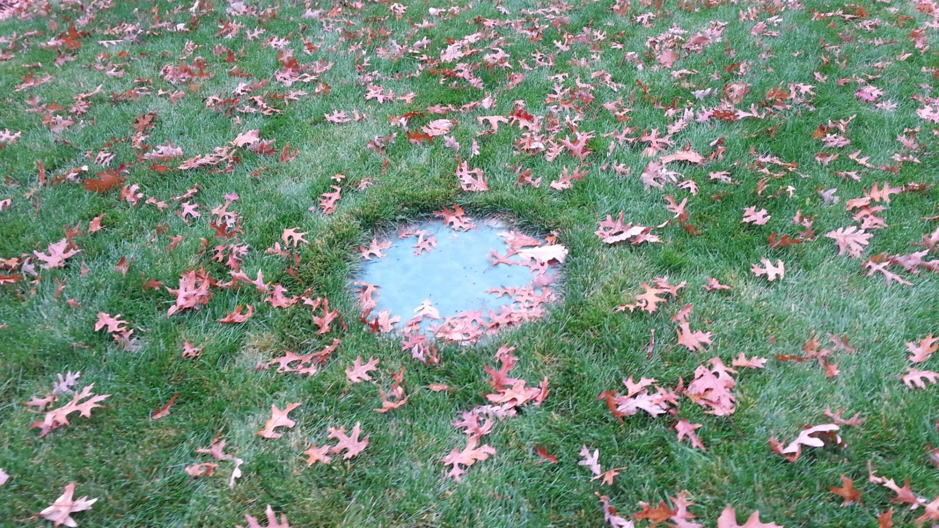 A Grass Septic Tank Cover...COVER! : 3 Steps - Instructables