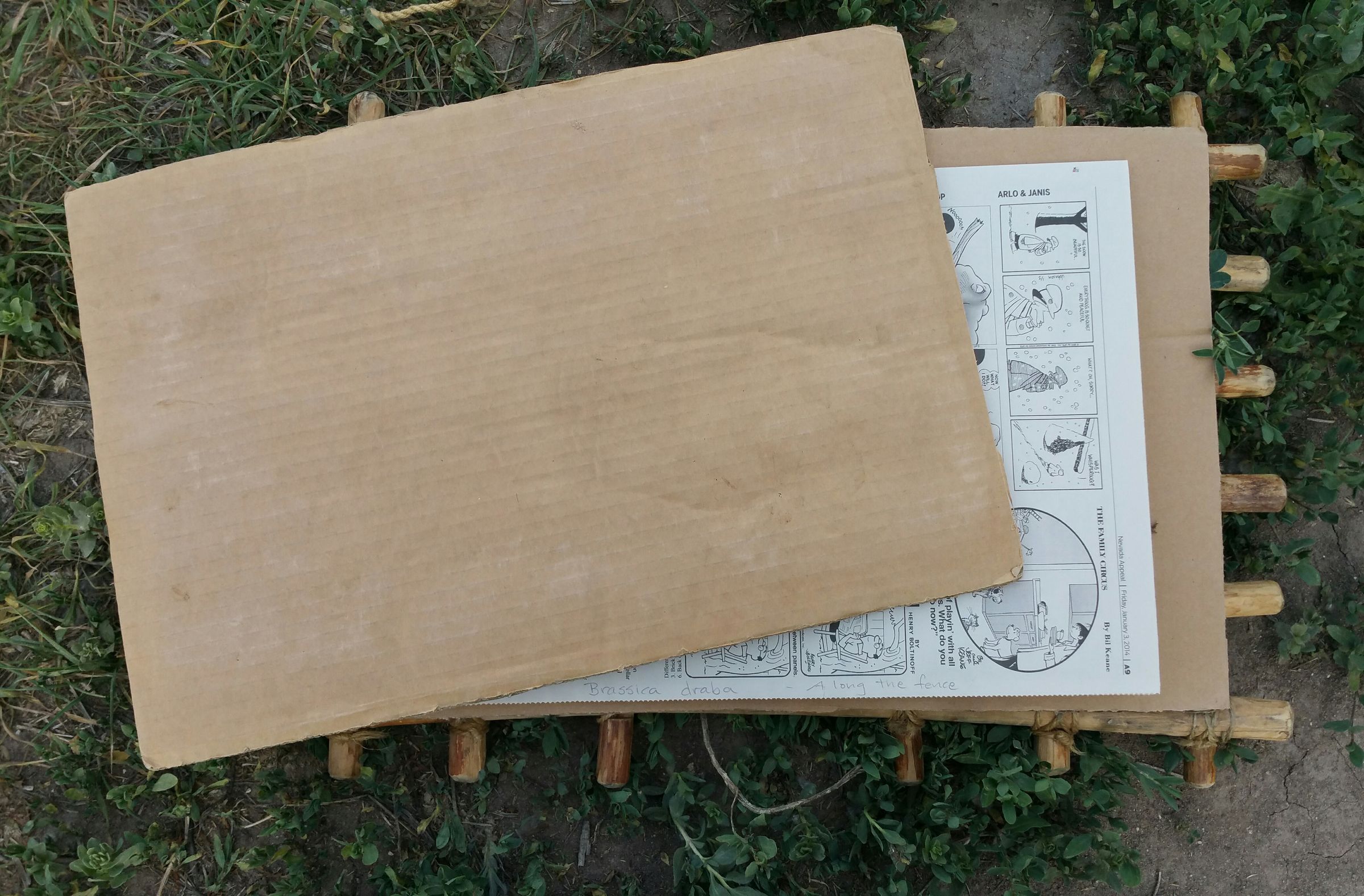 Wooden Plant Press : 9 Steps (with Pictures) - Instructables