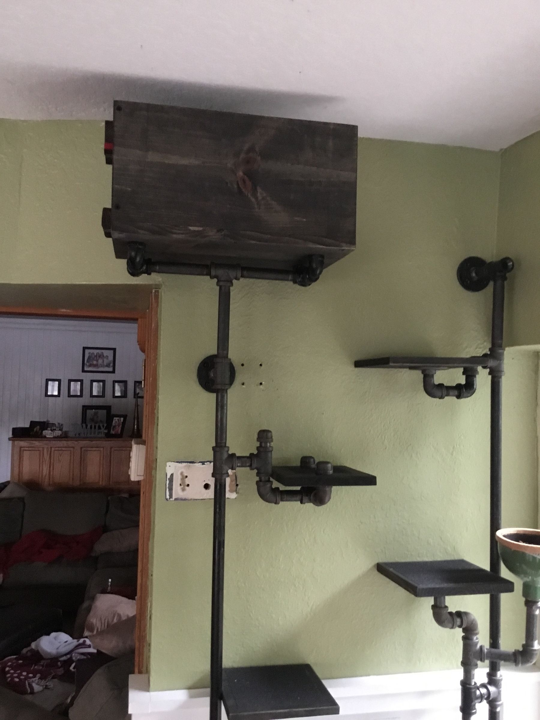 Cat Wall : 5 Steps (with Pictures) - Instructables