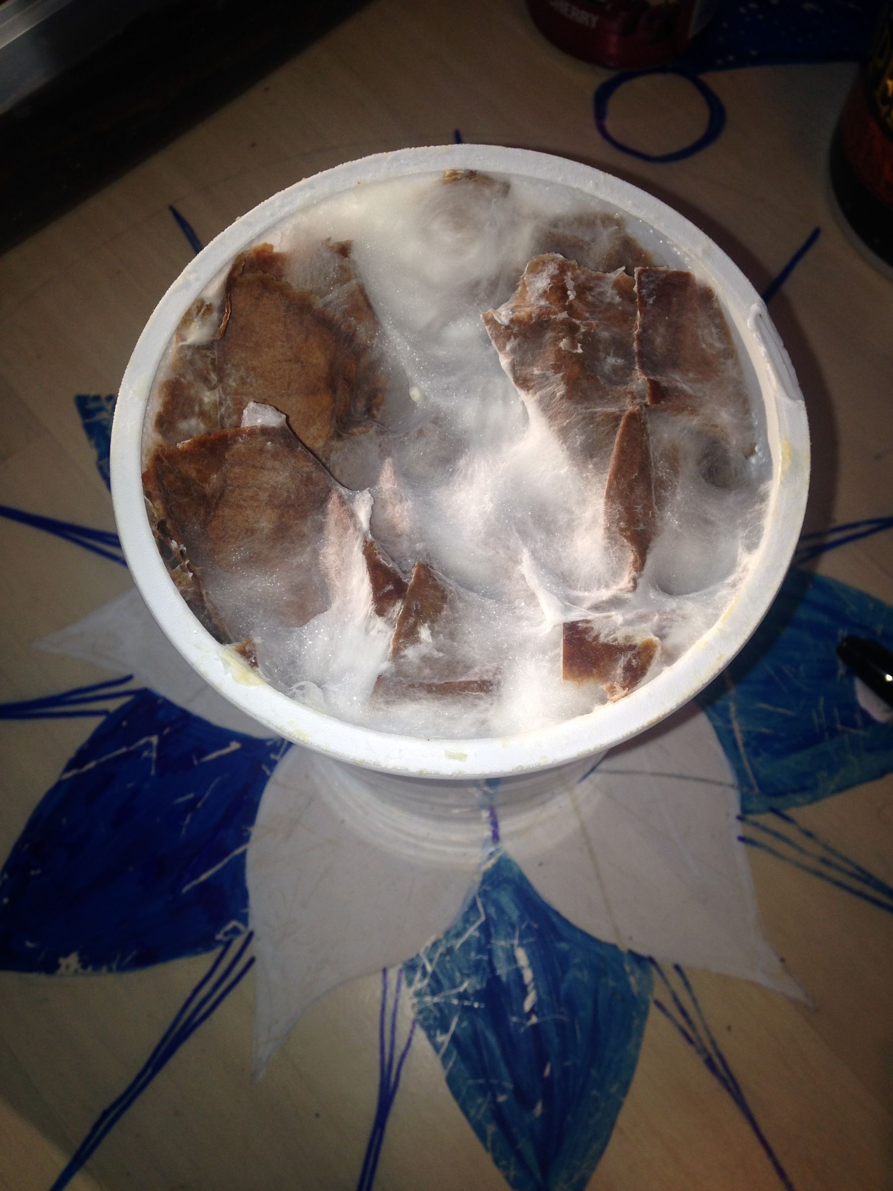 Recycle Paper Into Edible Gourmet Mushrooms : 8 Steps - Instructables