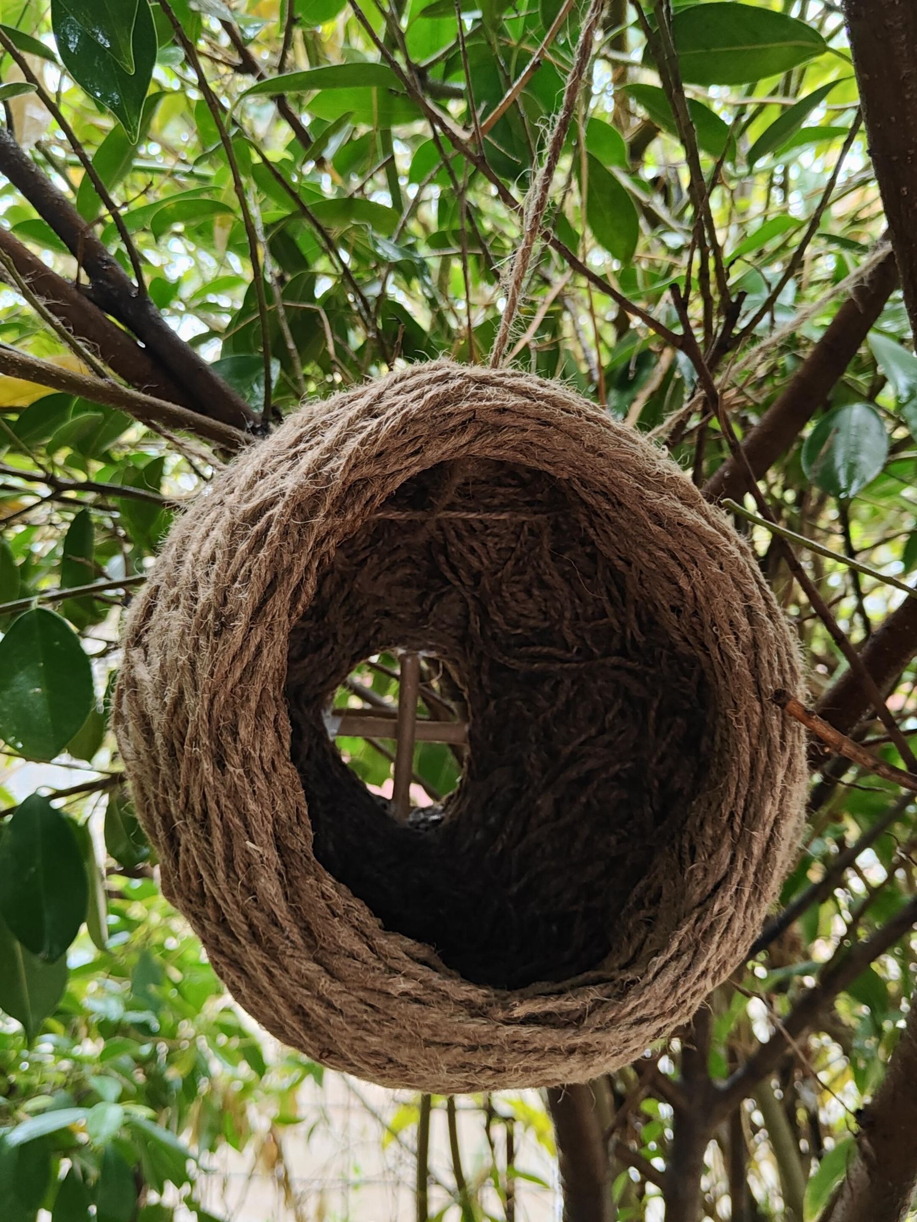 Bird's Nest From Jute Thread: Perfect Home for Our Little Buddies : 9 ...
