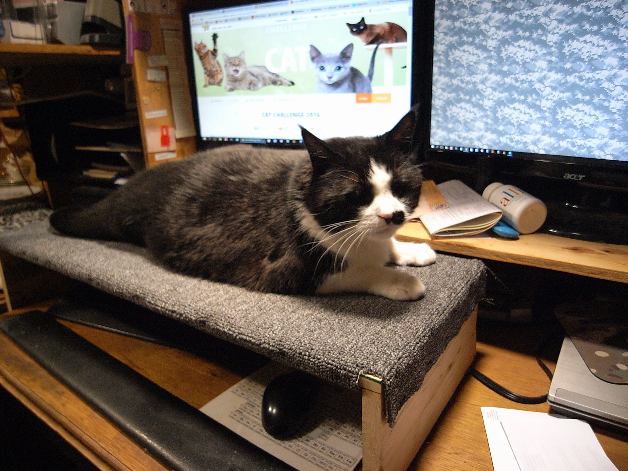 Anti-Keyboard Cat Attack Mat (AKCAM) : 10 Steps (with Pictures ...