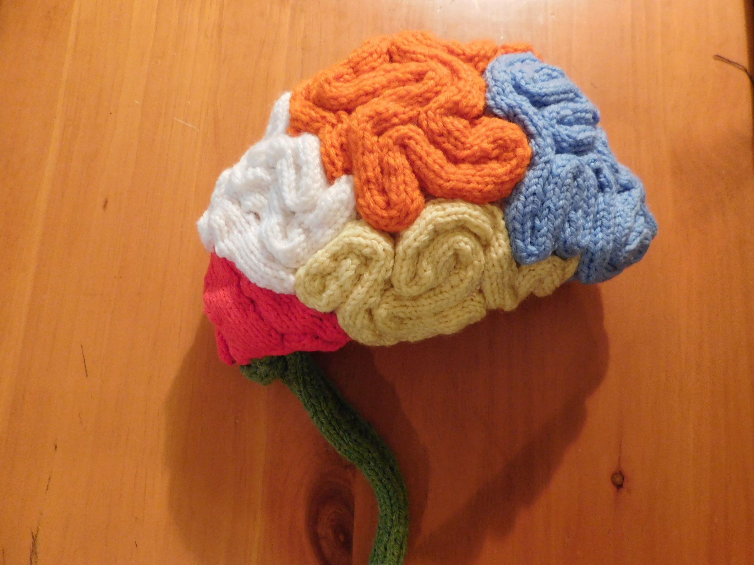 The Brain Game! : 9 Steps (with Pictures) - Instructables