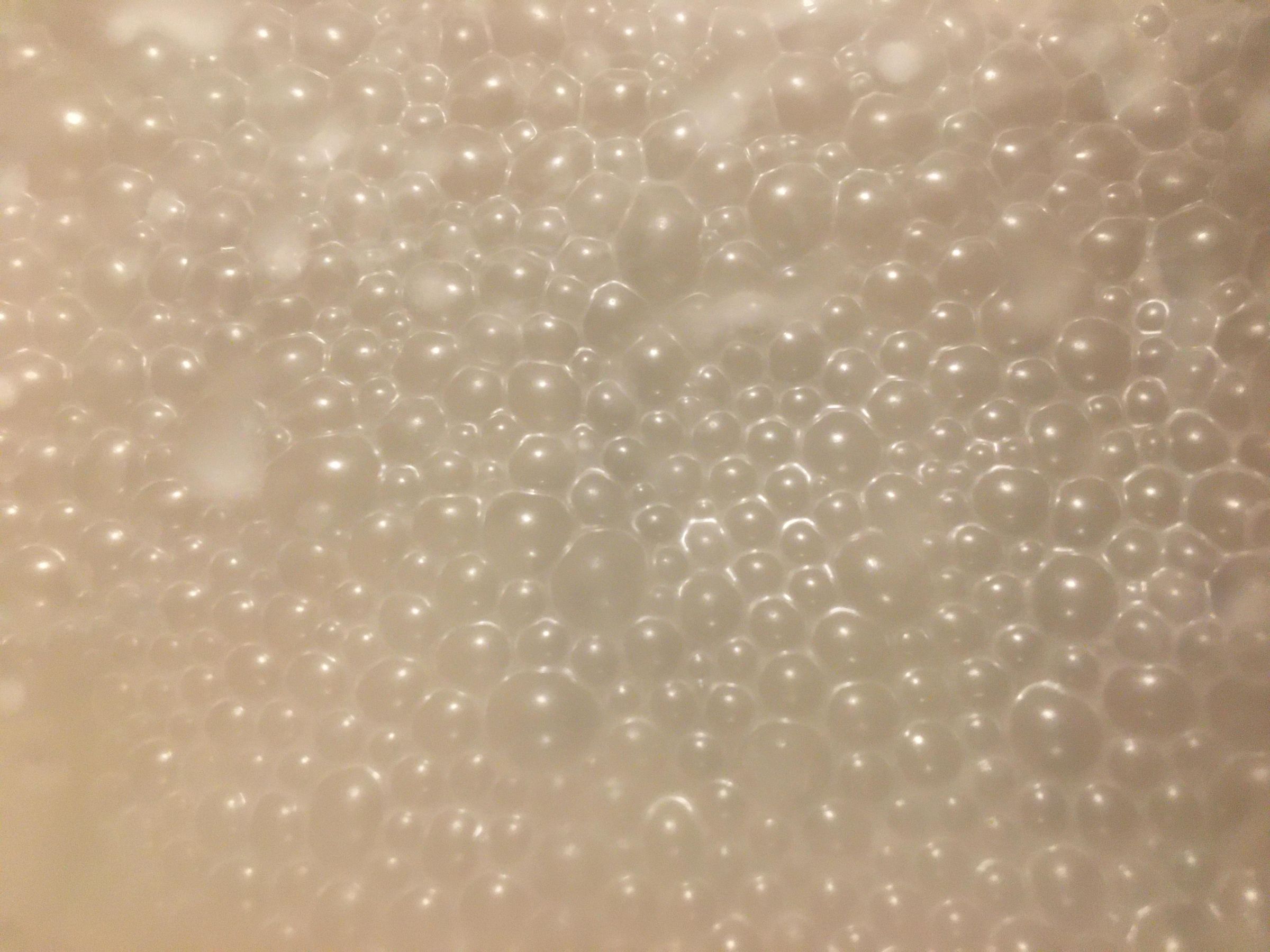 Yeast Experiments and Bread in a Bag : 5 Steps - Instructables