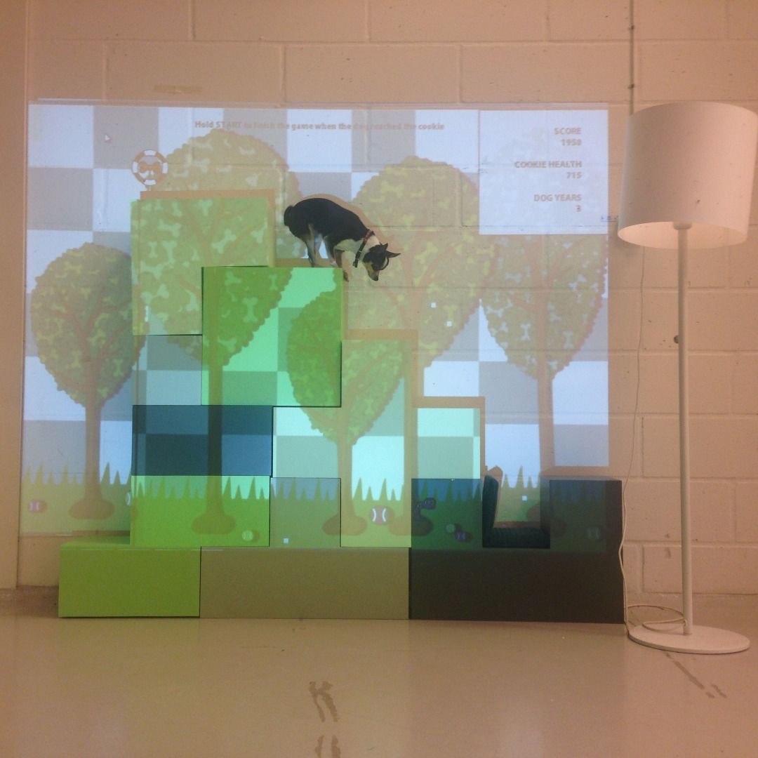 A Hybrid Digital and Physical Game for Dogs and Humans : 5 Steps ...