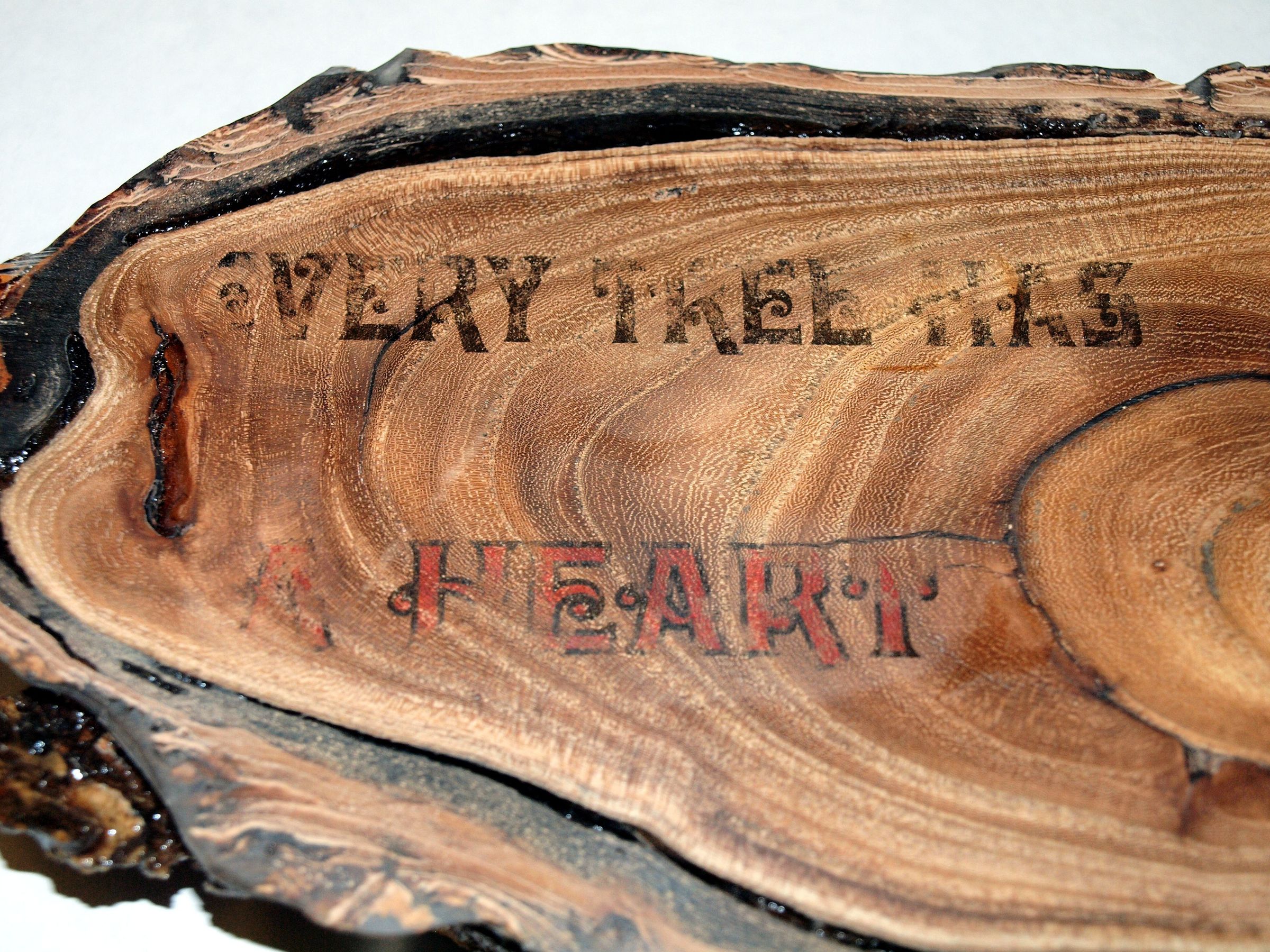 Gnarly Wood Projects With Weird Wood, Broken Glass, LED's and Epoxy ...