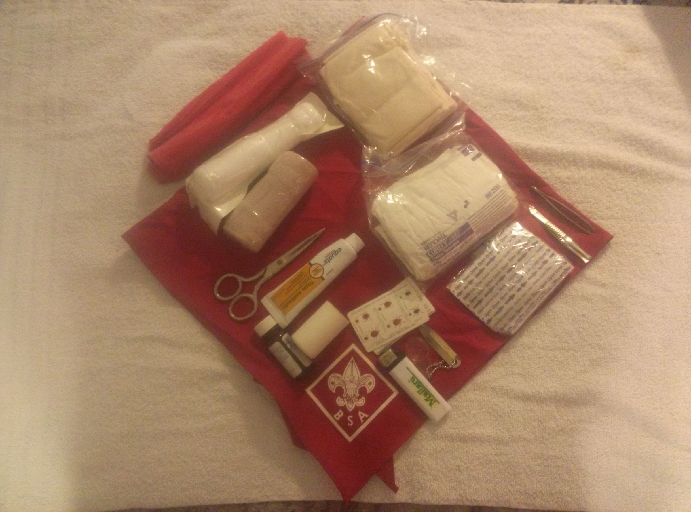 Dog Emergency Supply Kit : 6 Steps (with Pictures) - Instructables