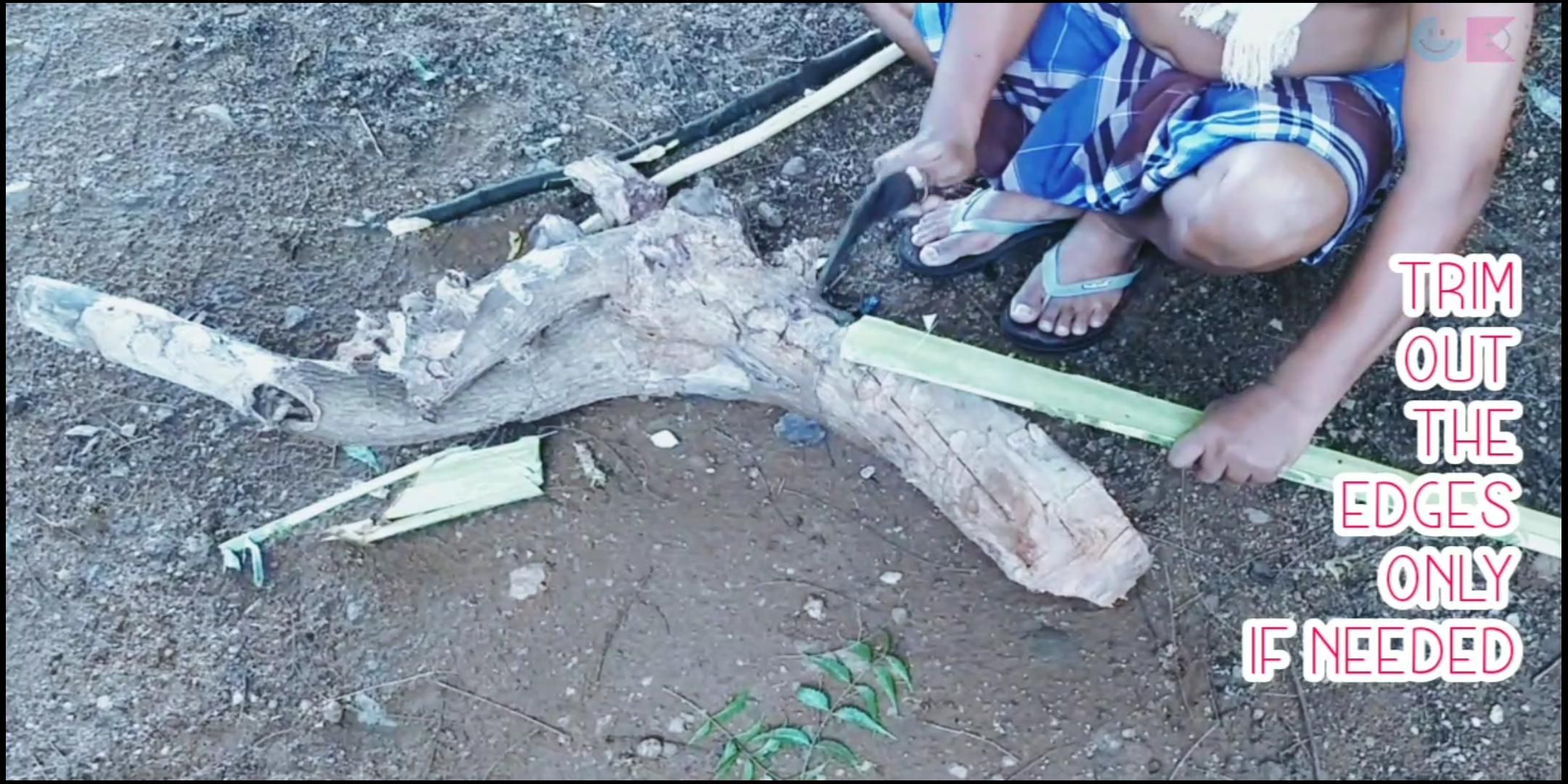 Palm Cart Using Palm Fruit : 6 Steps (with Pictures) - Instructables