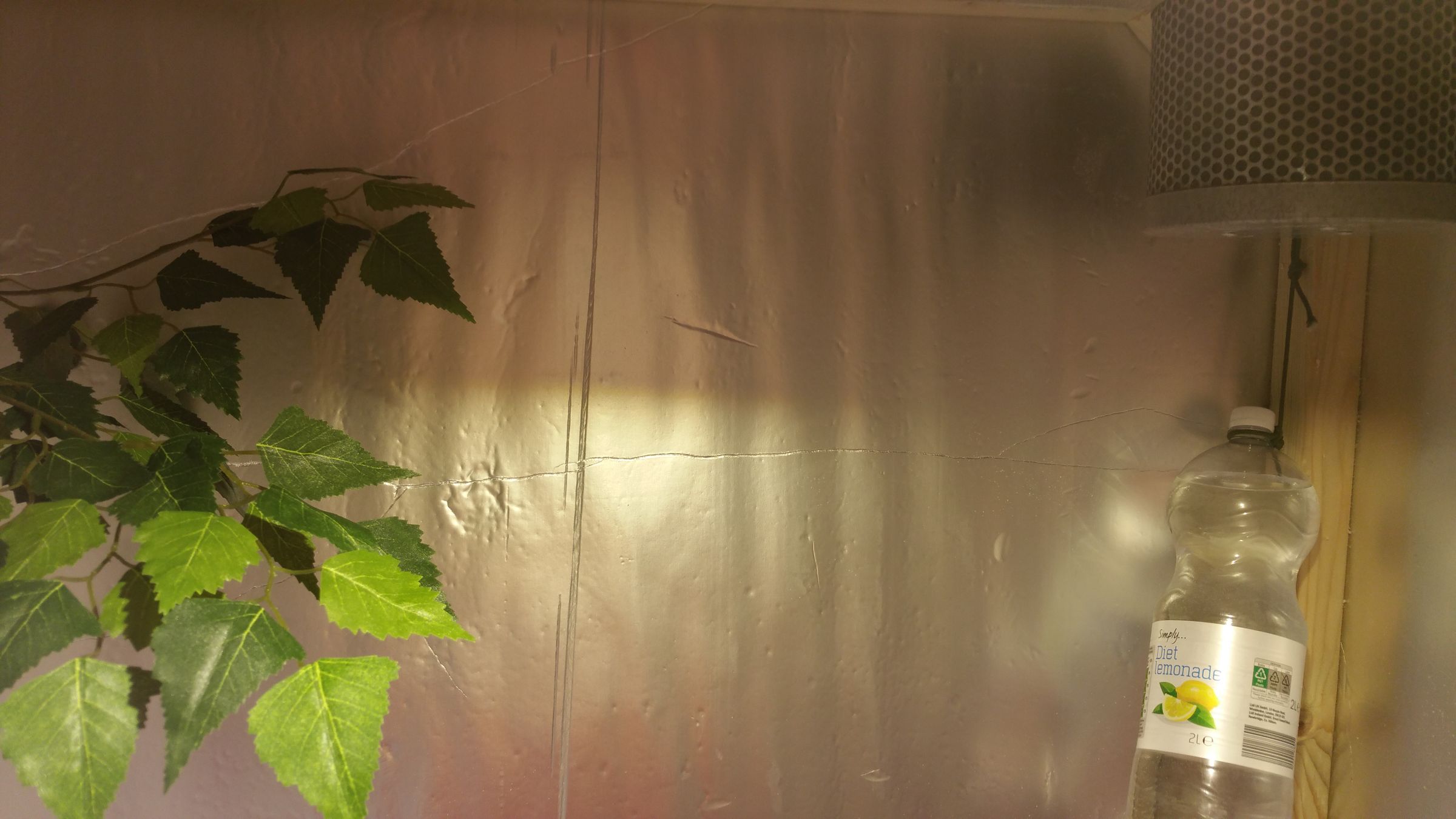 Fly Cage Black Soldier Fly Breeding UK. : 9 Steps (with Pictures ...