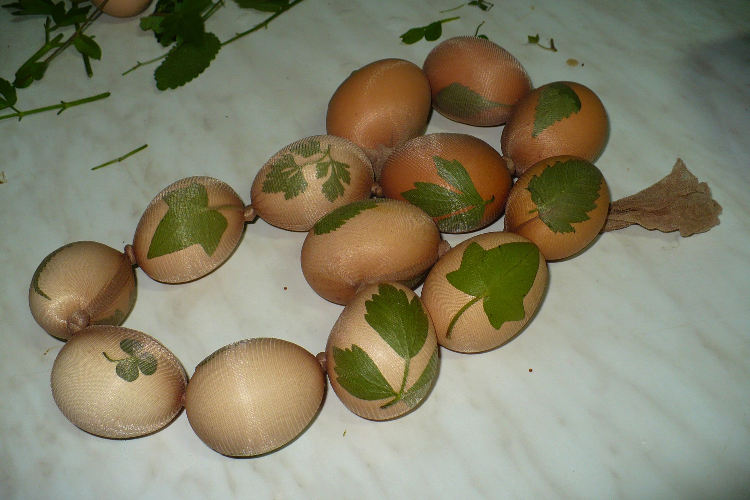Bio Coloured Eggs : 7 Steps (with Pictures) - Instructables