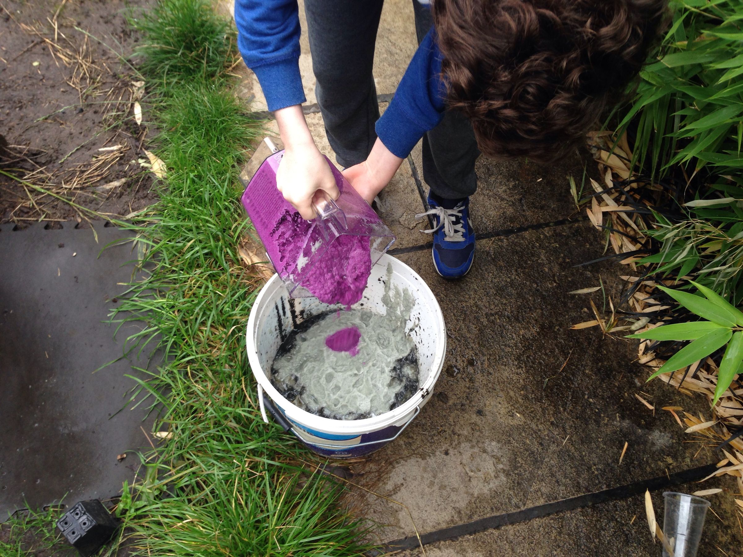 Make Worm Food for Your Wormery : 4 Steps (with Pictures) - Instructables