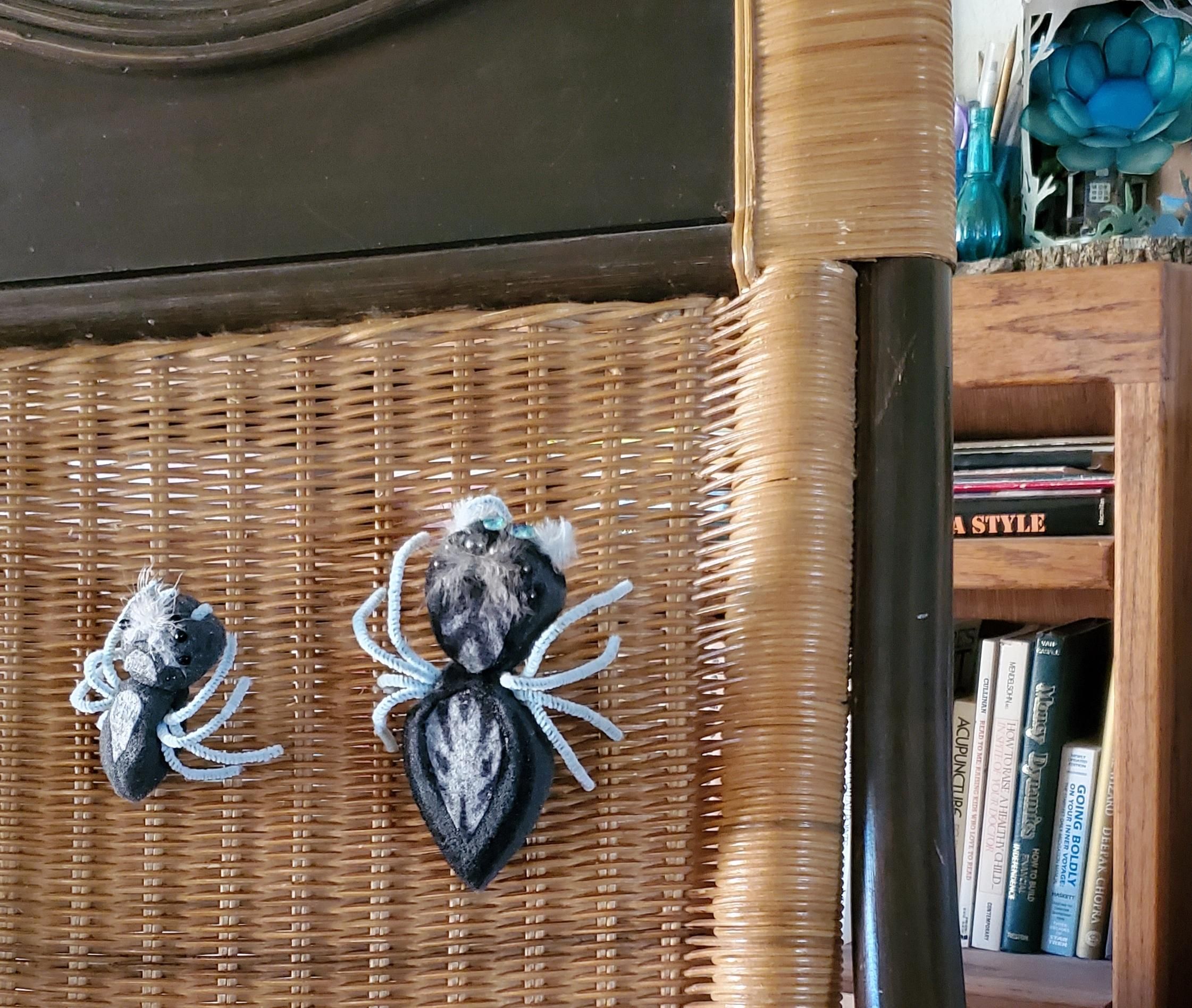 Jumping Spider : 9 Steps (with Pictures) - Instructables