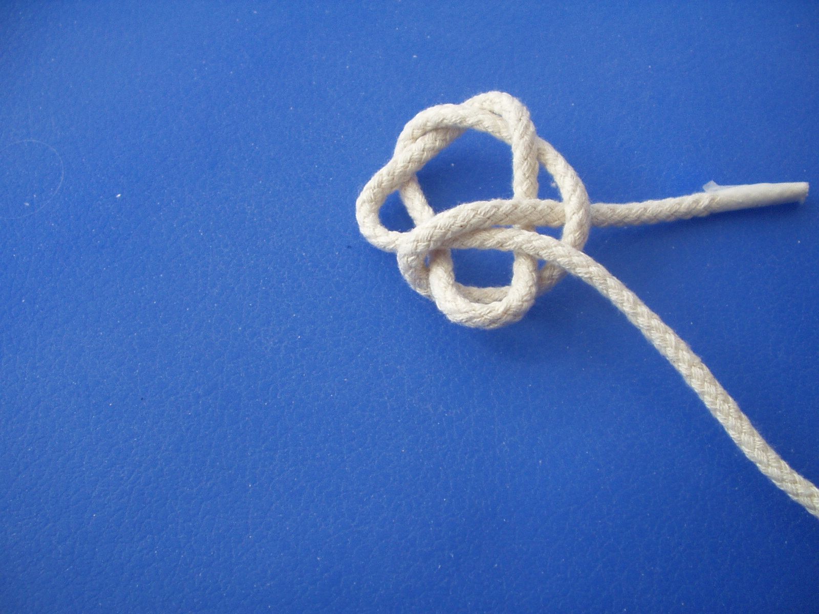 Two Strand Lanyard Knot (ABOK 784) : 10 Steps - Instructables