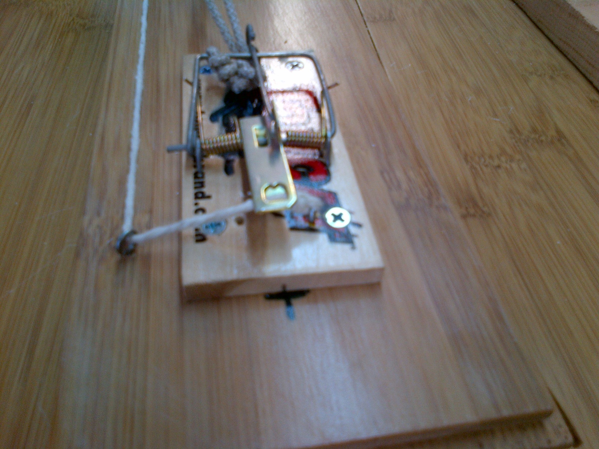 Ultimate Leprechaun Trap With Demonstration Video : 4 Steps - Instructables