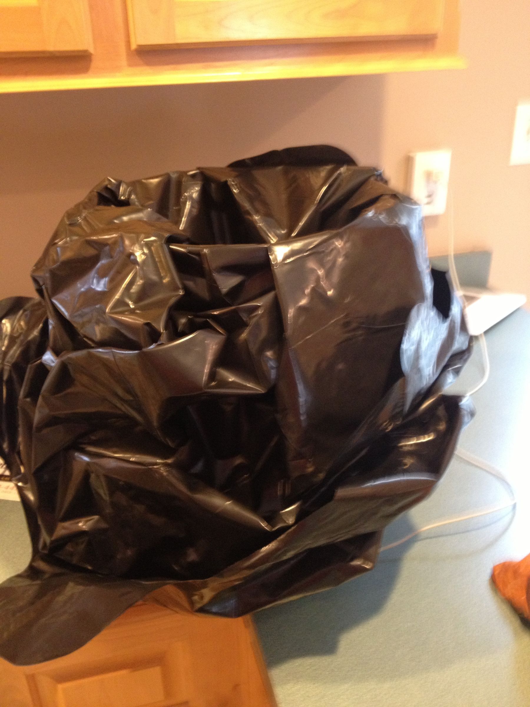 Grow Potatoes in a 5 Gallon Bucket : 8 Steps - Instructables