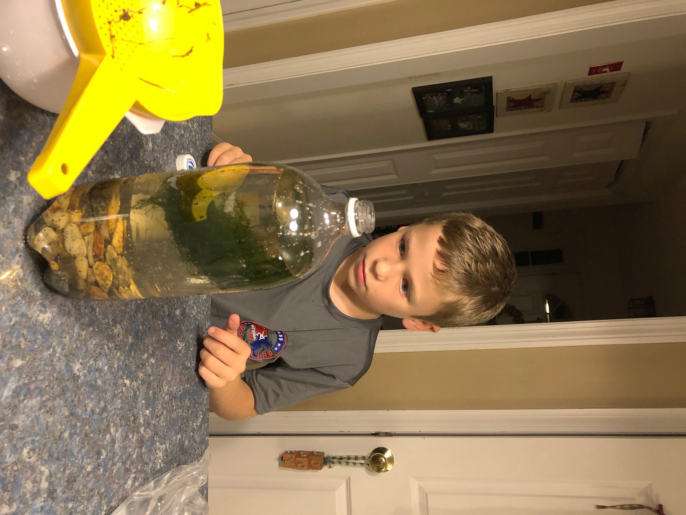 A Closed Ecosystem : 9 Steps - Instructables