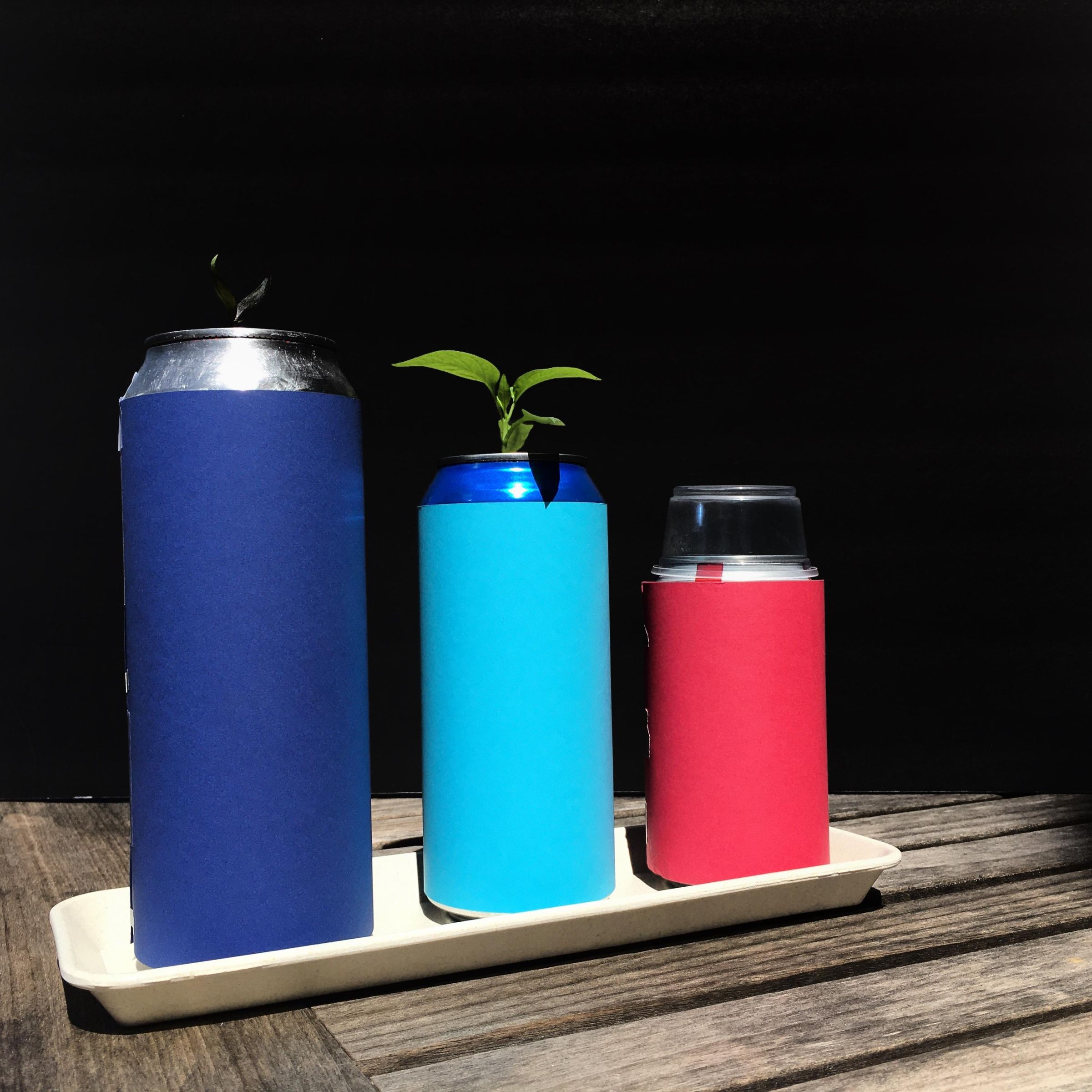 Upcycled Soda Can Planter -Pepper in a Can : 11 Steps (with Pictures ...