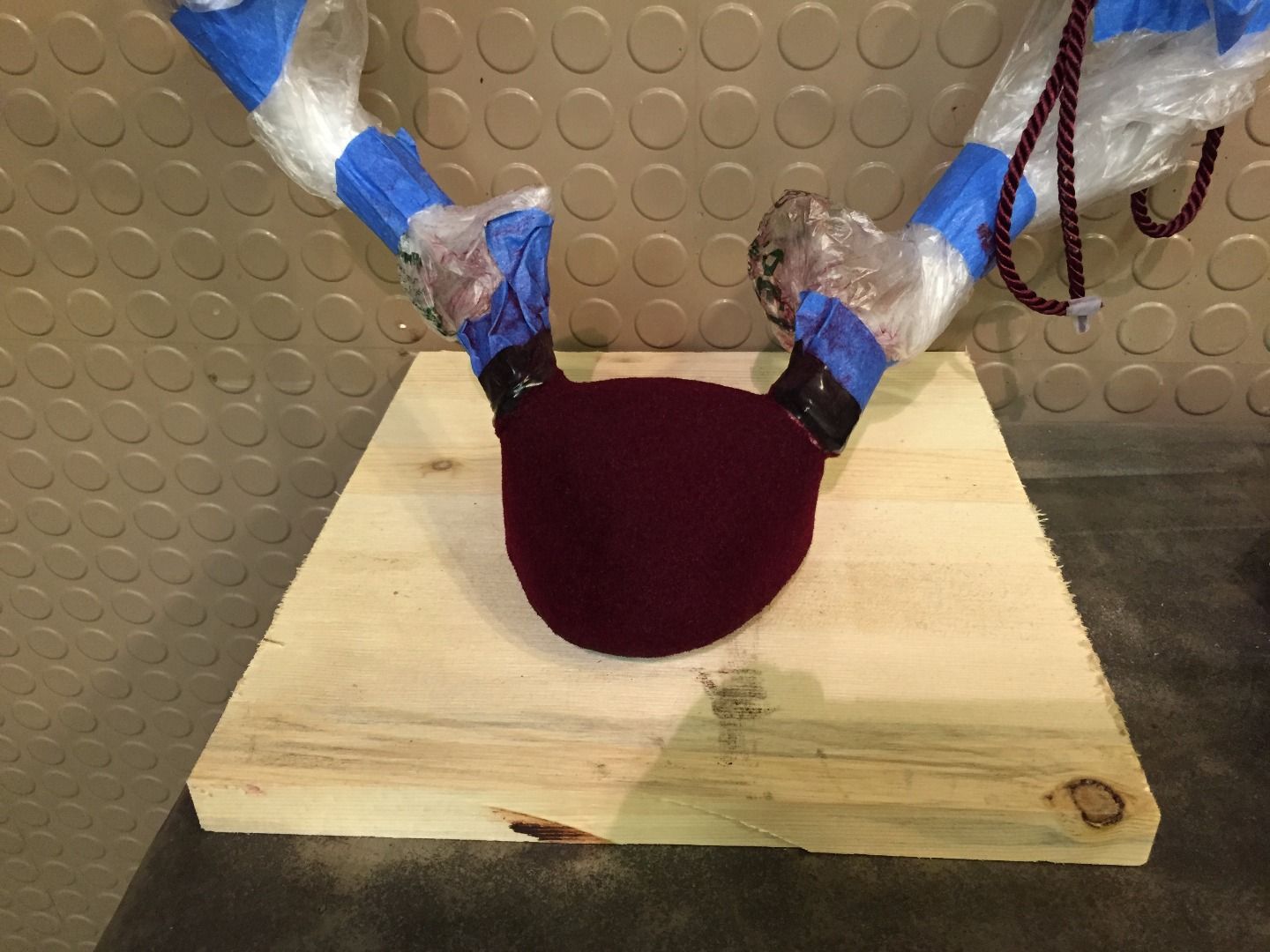 Mounted Deer Antlers : 10 Steps (with Pictures) - Instructables
