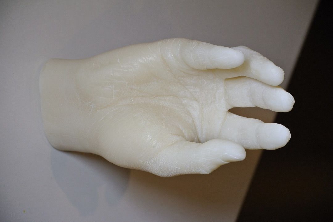 How to Lifecast a Hand With Alginate : 7 Steps (with Pictures ...