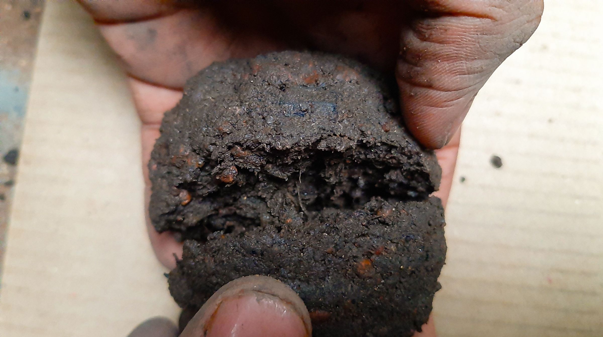 Kokedama - Japanese Moss Ball : 9 Steps (with Pictures) - Instructables