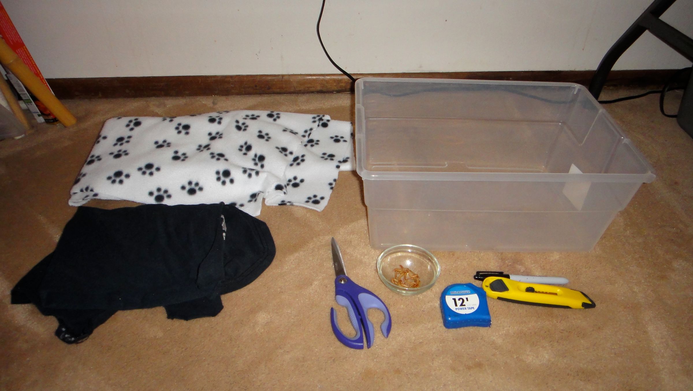 Simple Hedgehog Dig Box : 3 Steps (with Pictures) - Instructables