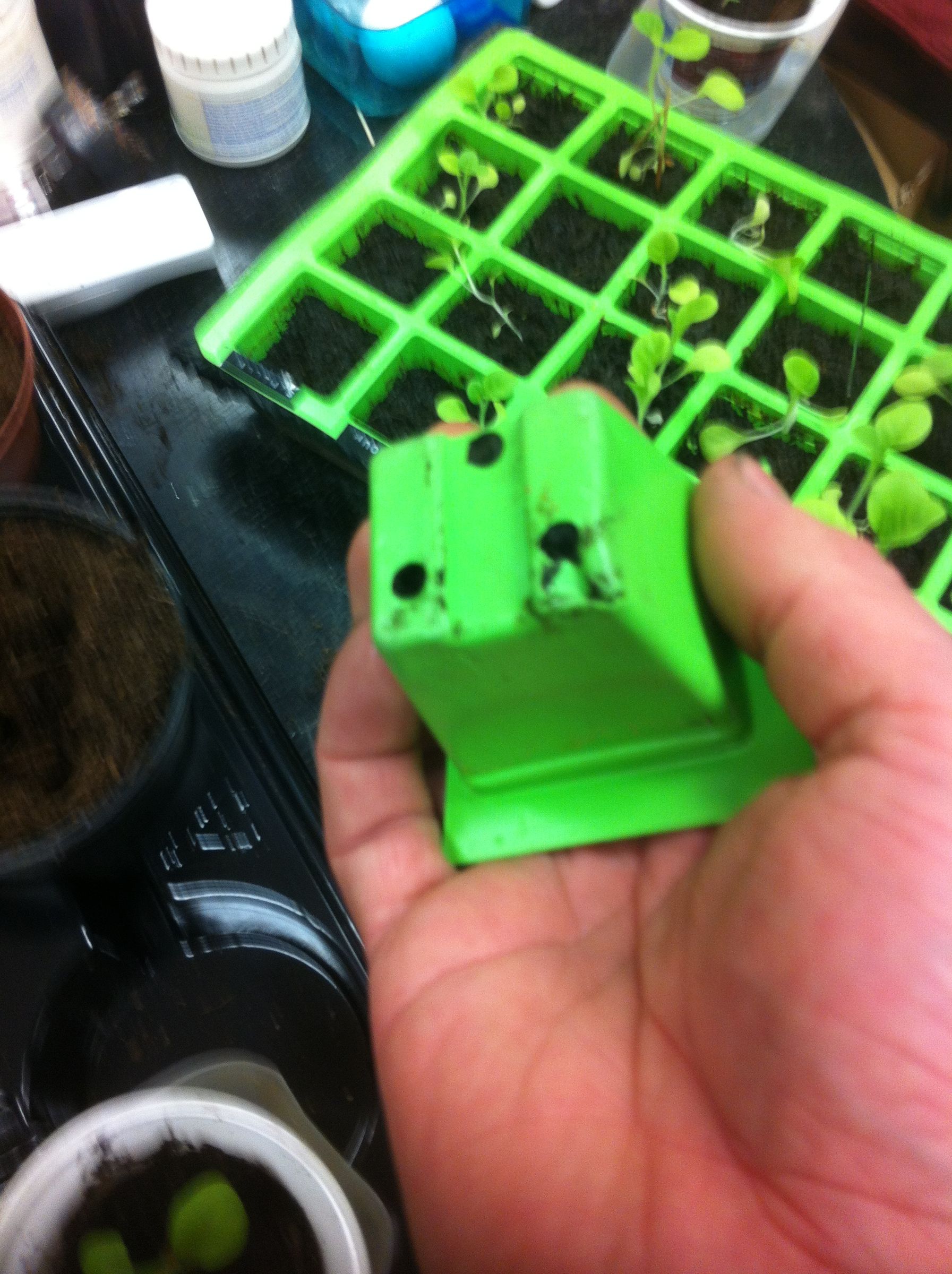 Growing Tobacco : 6 Steps (with Pictures) - Instructables