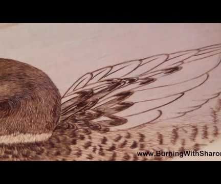 Pyrography: How to Woodburn a Mallard Duck Wing - Instructables