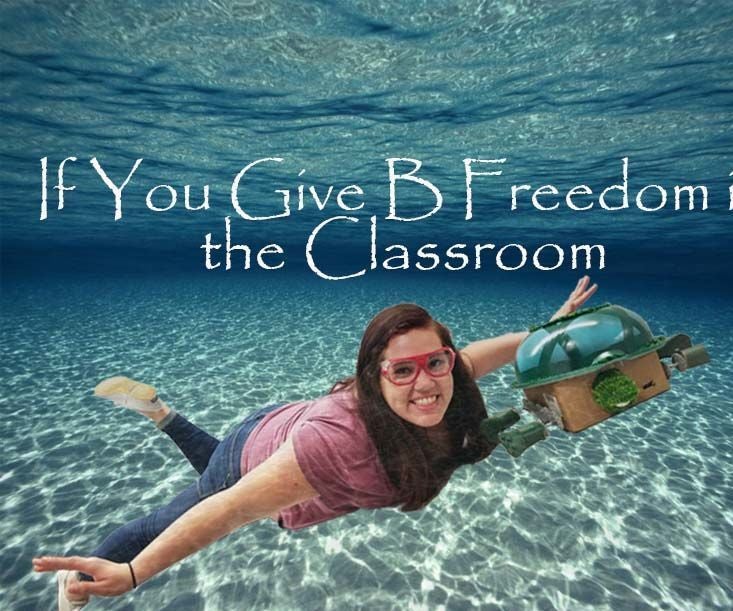 If You Give B Freedom in the Classroom : 12 Steps - Instructables