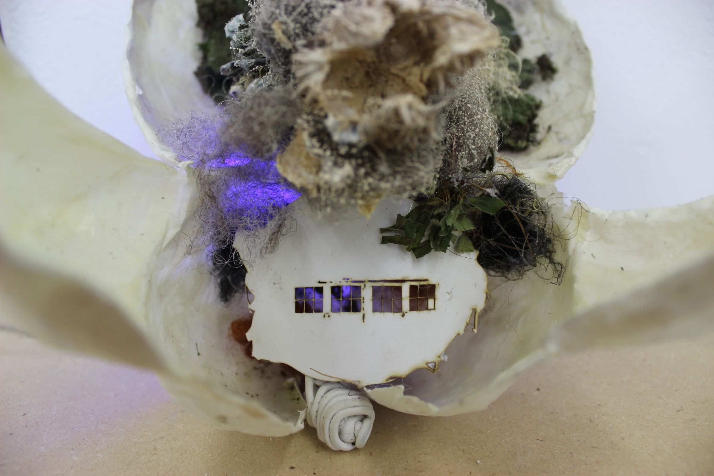 Shadow Pod: Nightlight : 10 Steps - Instructables