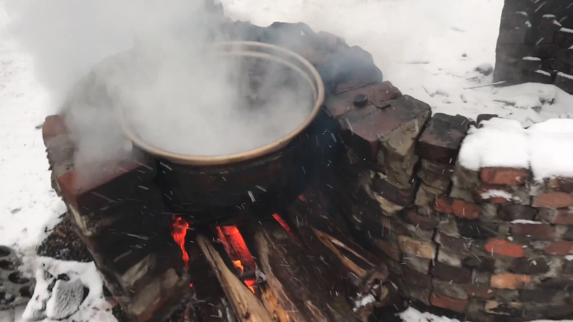 Tapping Maple Trees for Making Maple Syrup : 5 Steps - Instructables