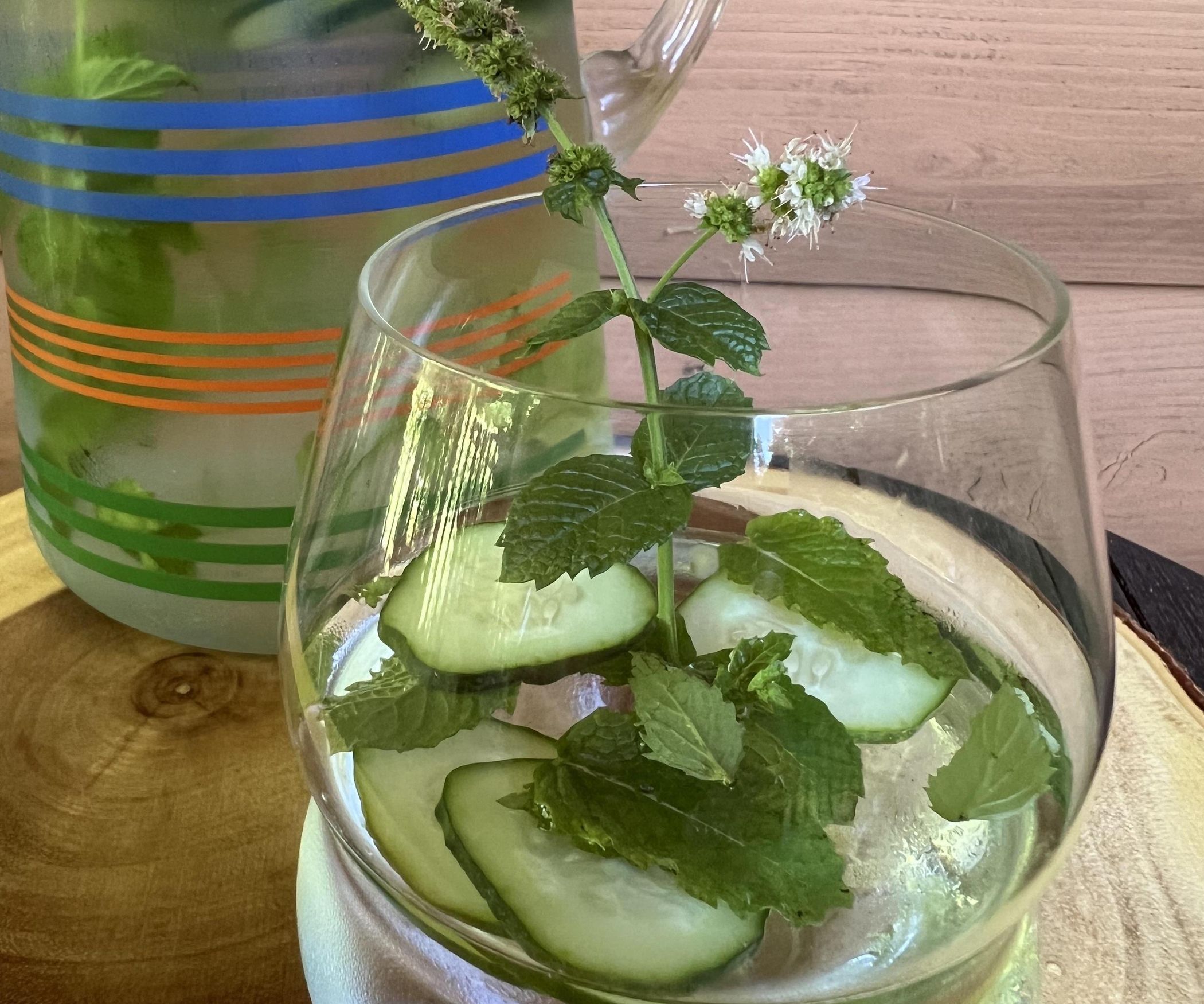 Infused Water : 6 Steps (with Pictures) - Instructables