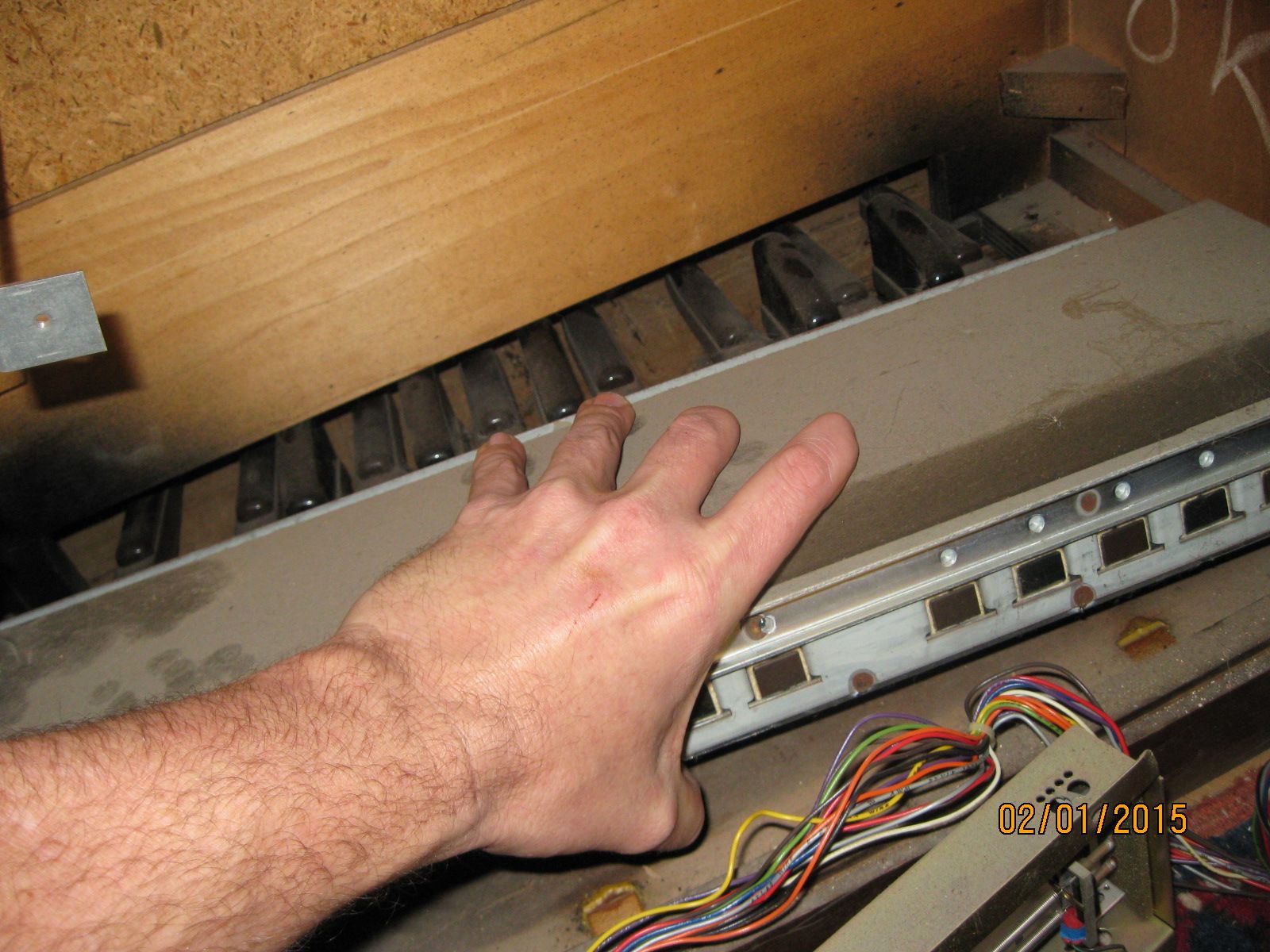 The Organ Donor Project- the Dissection : 5 Steps - Instructables