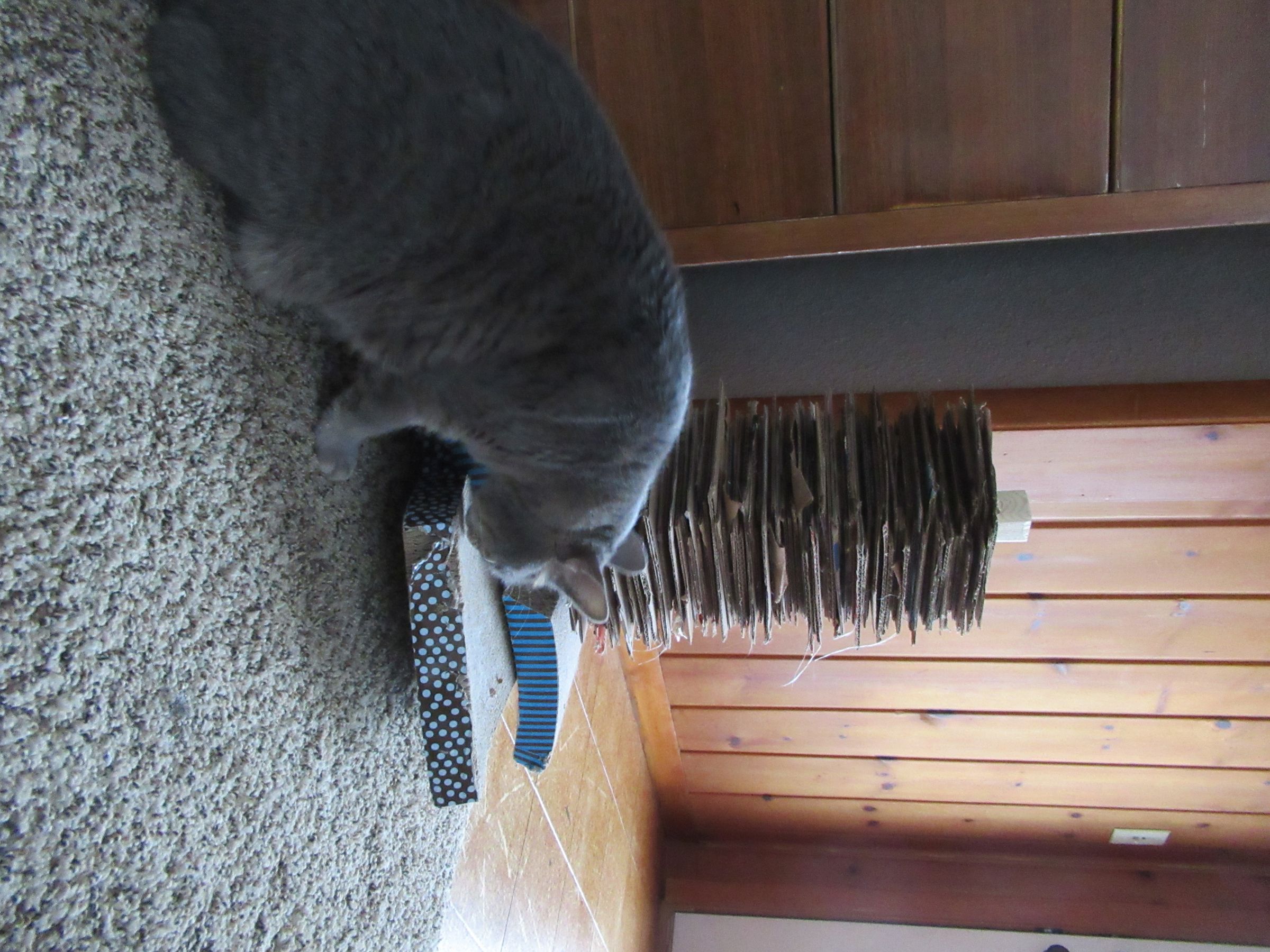 Cardboard Cat Scratching Post - Instructables