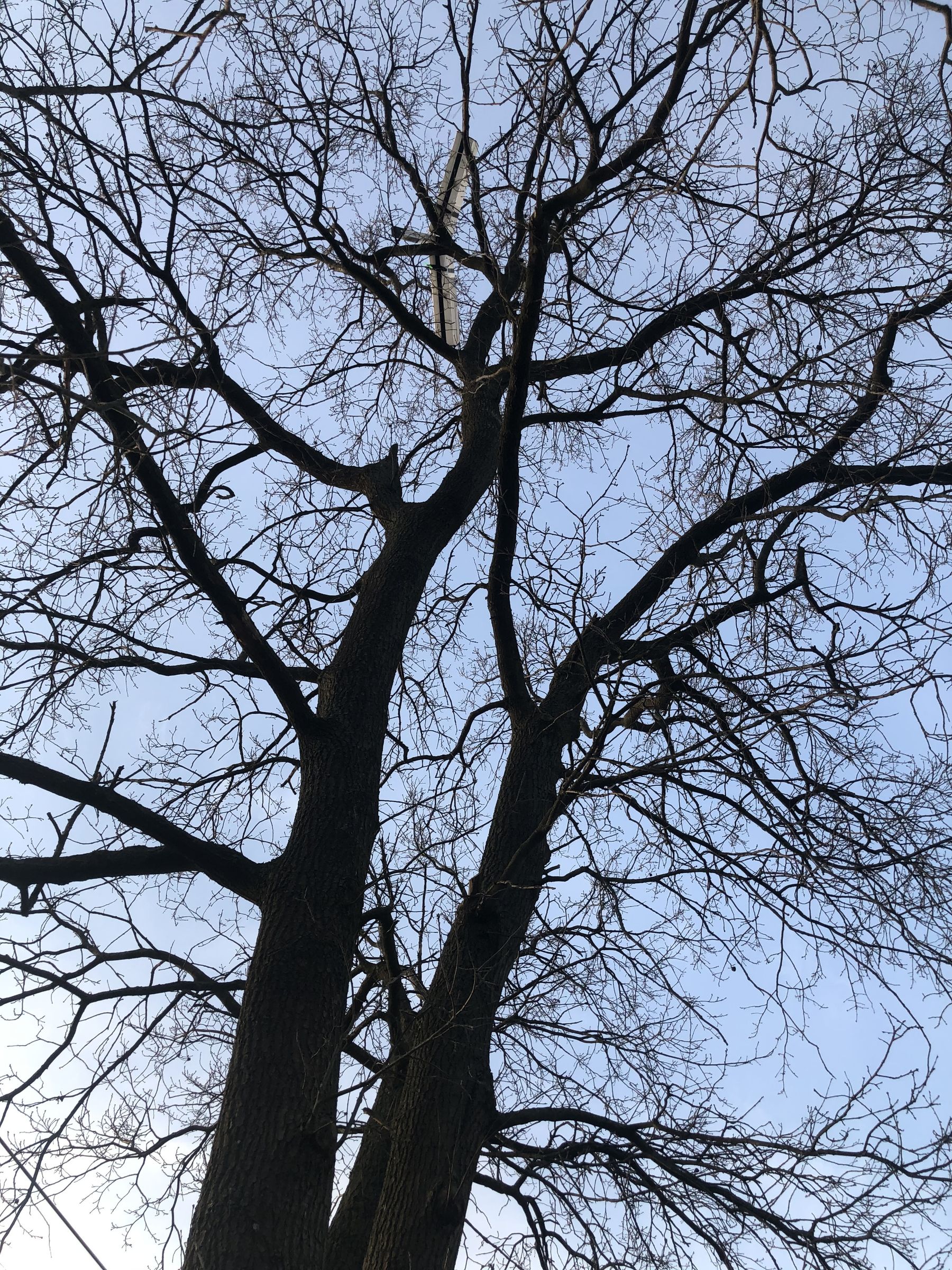 Large Autonomous RC Plane : 12 Steps (with Pictures) - Instructables