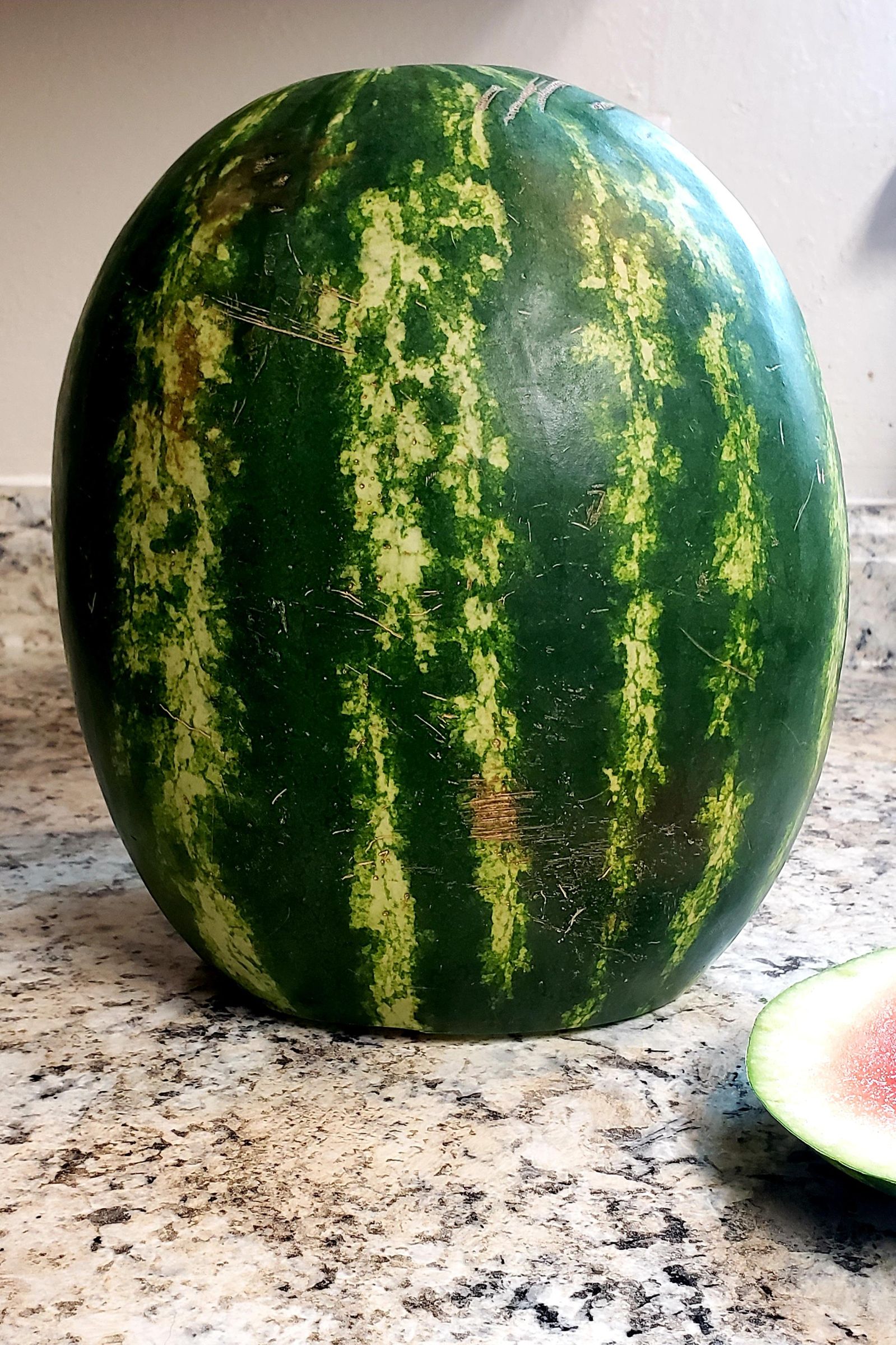 Watermelon Lotus Flower Carving! : 17 Steps (with Pictures) - Instructables