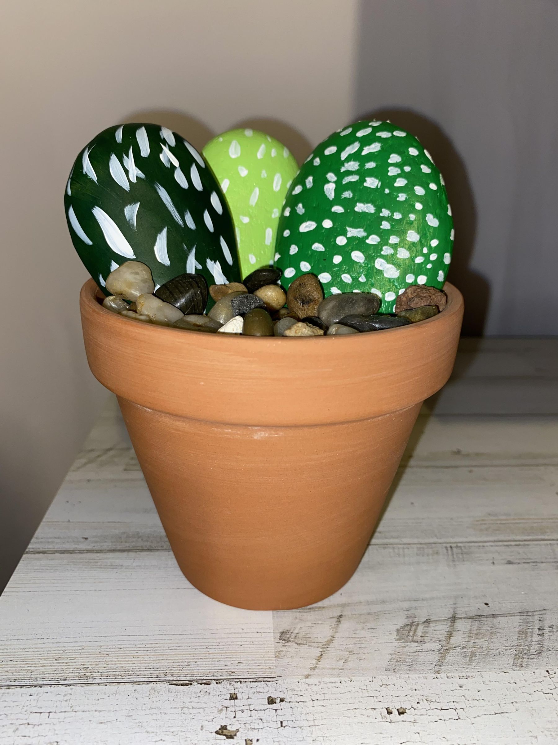 Living Rocks in a Pot : 10 Steps (with Pictures) - Instructables