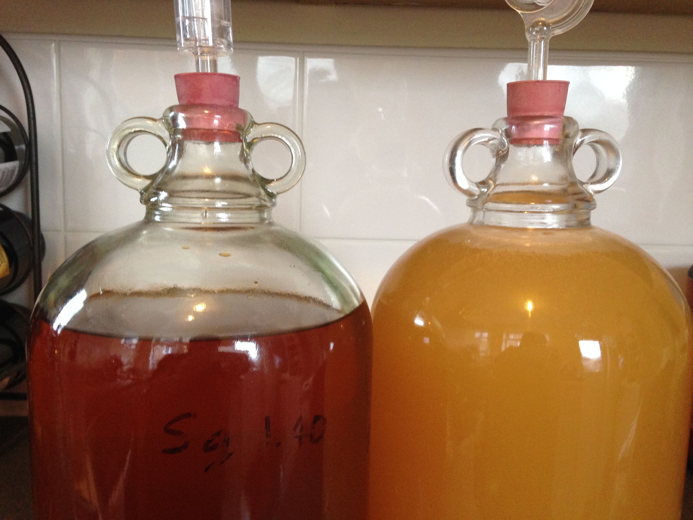 Mead Made With Science! : 7 Steps (with Pictures) - Instructables